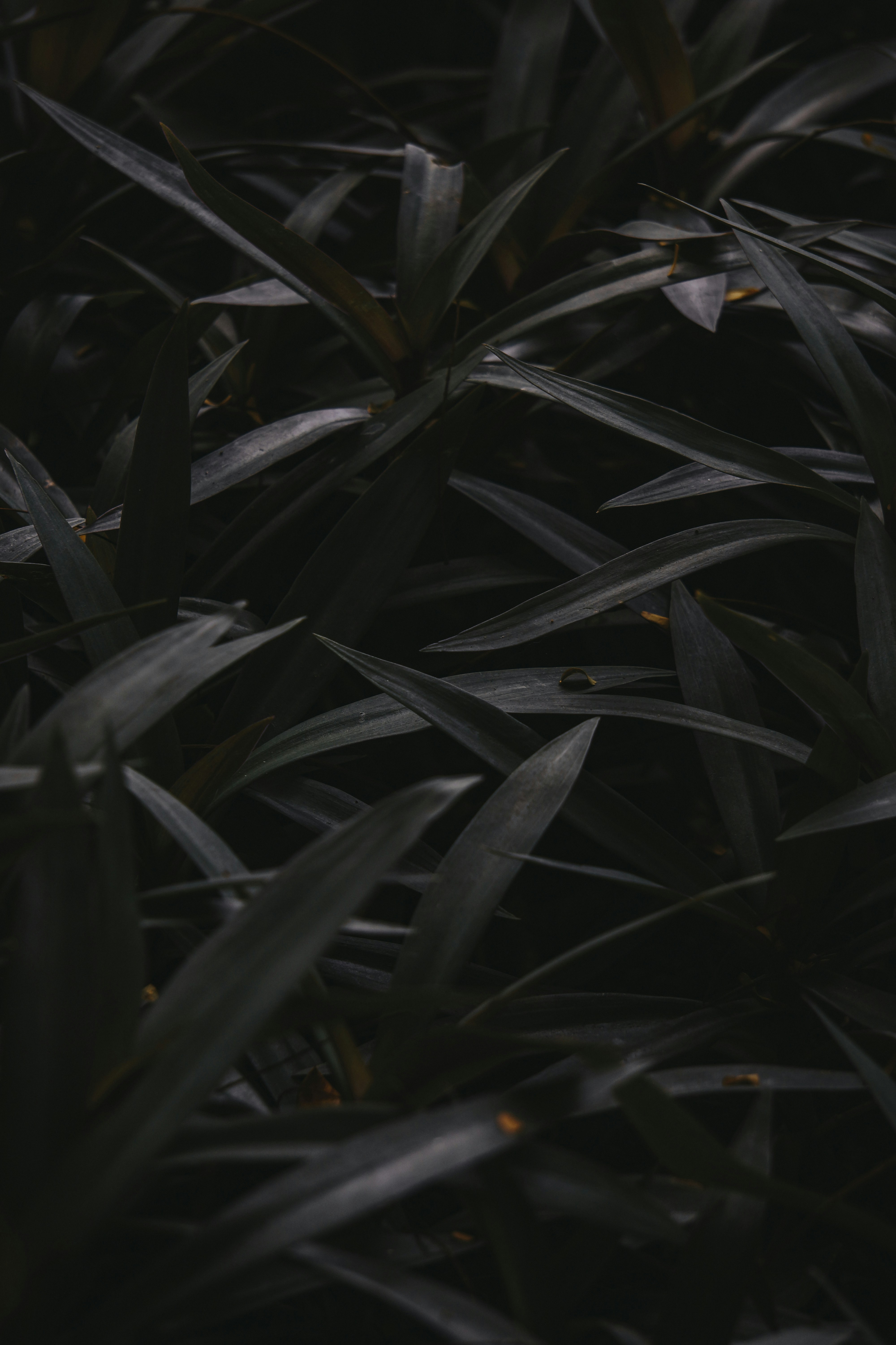 Photo by Minh Đức with Sony NEX-7