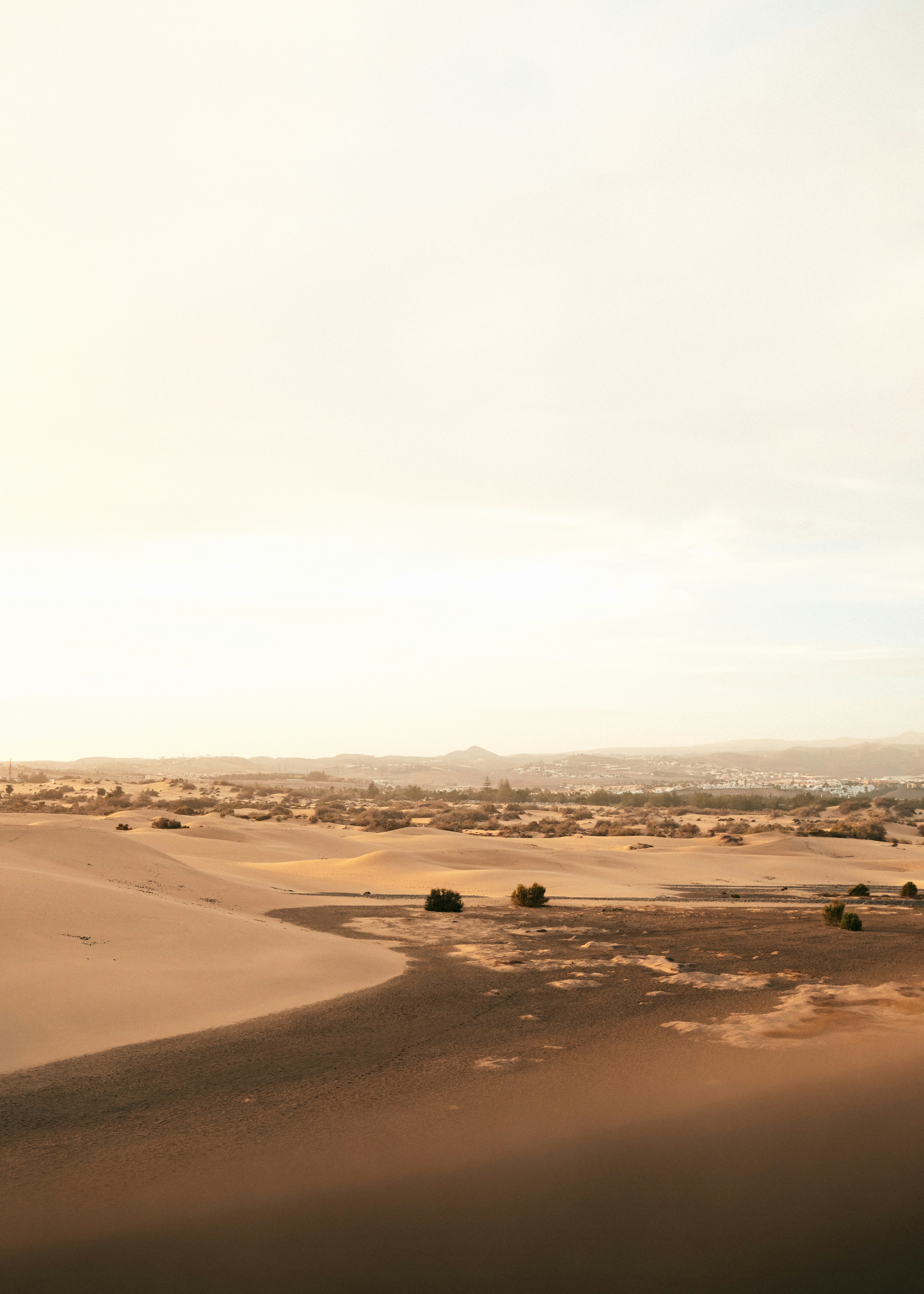 Photo by Jack Stapleton with Sony Alpha 7 IV