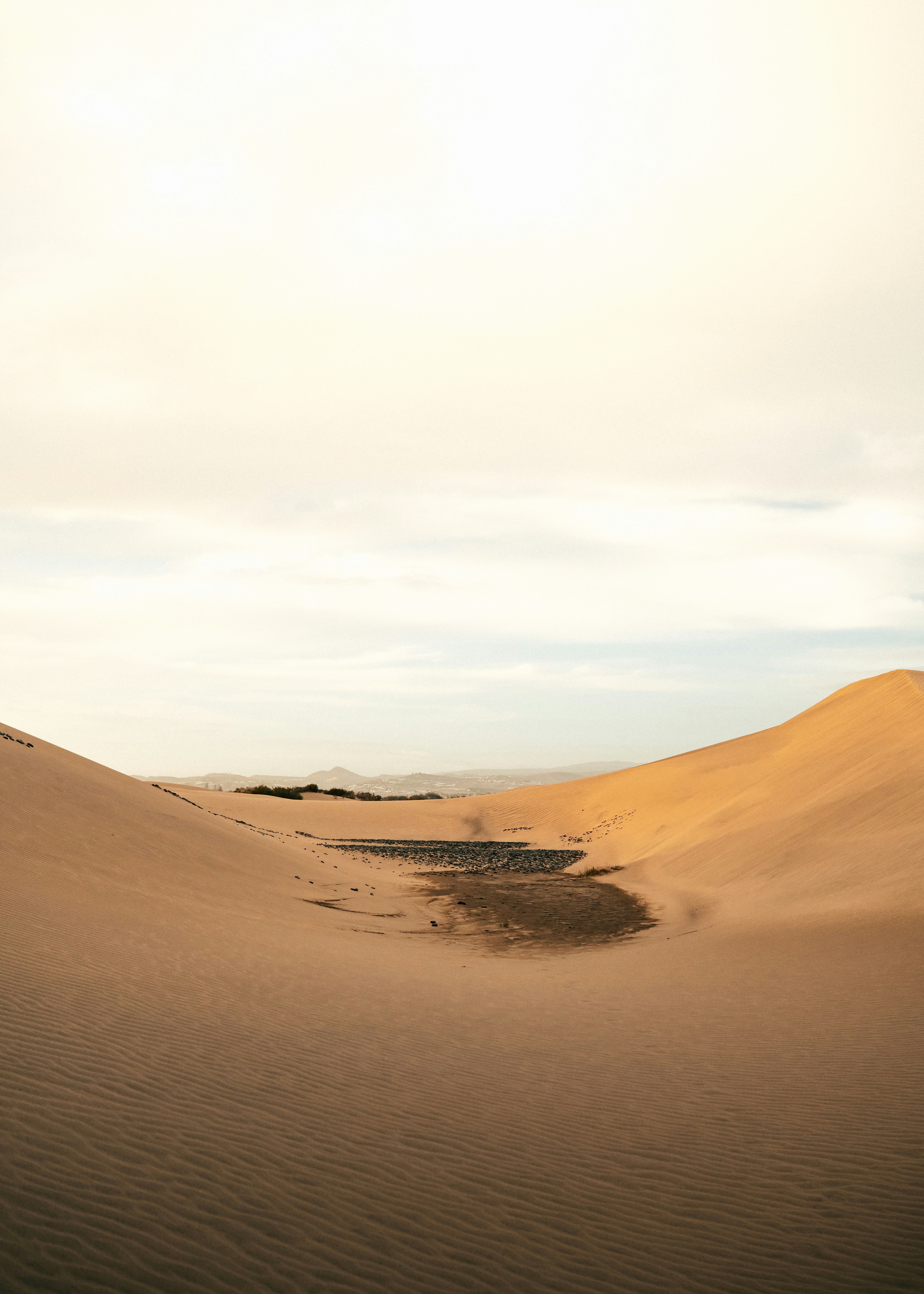 Photo by Jack Stapleton with Sony Alpha 7 IV