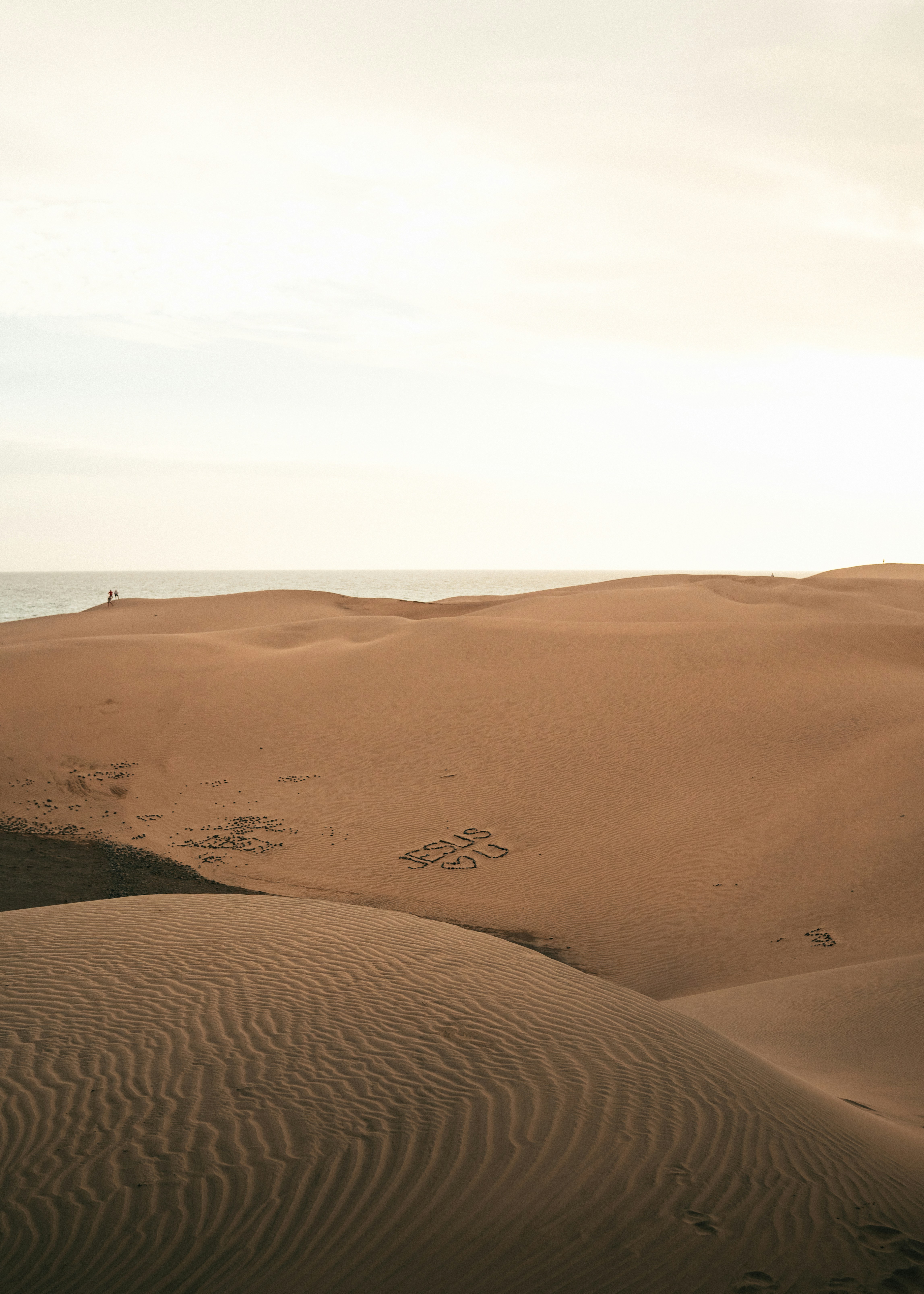 Photo by Jack Stapleton with Sony Alpha 7 IV