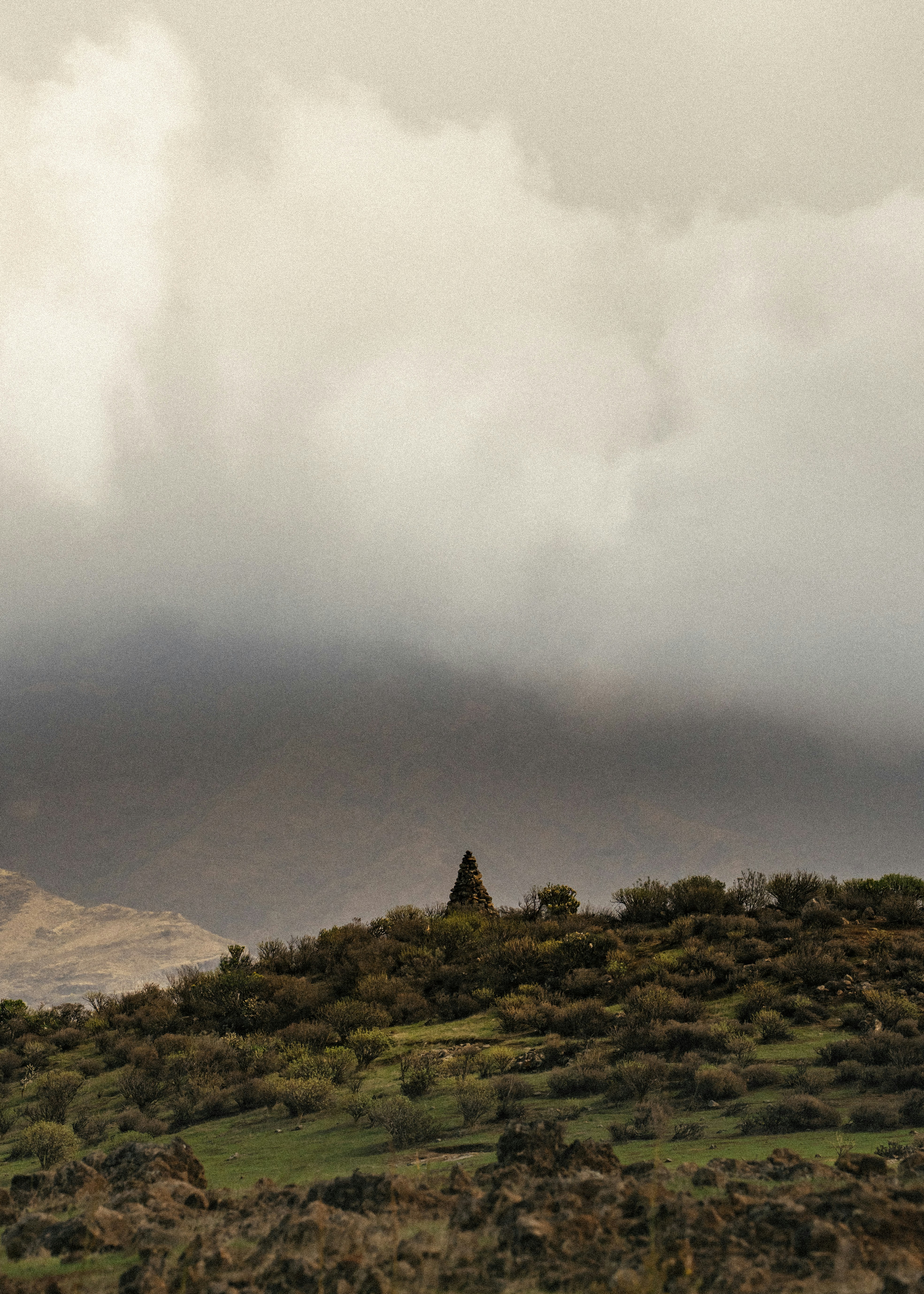 Stone Sentinel on the Wind-swept Ridge