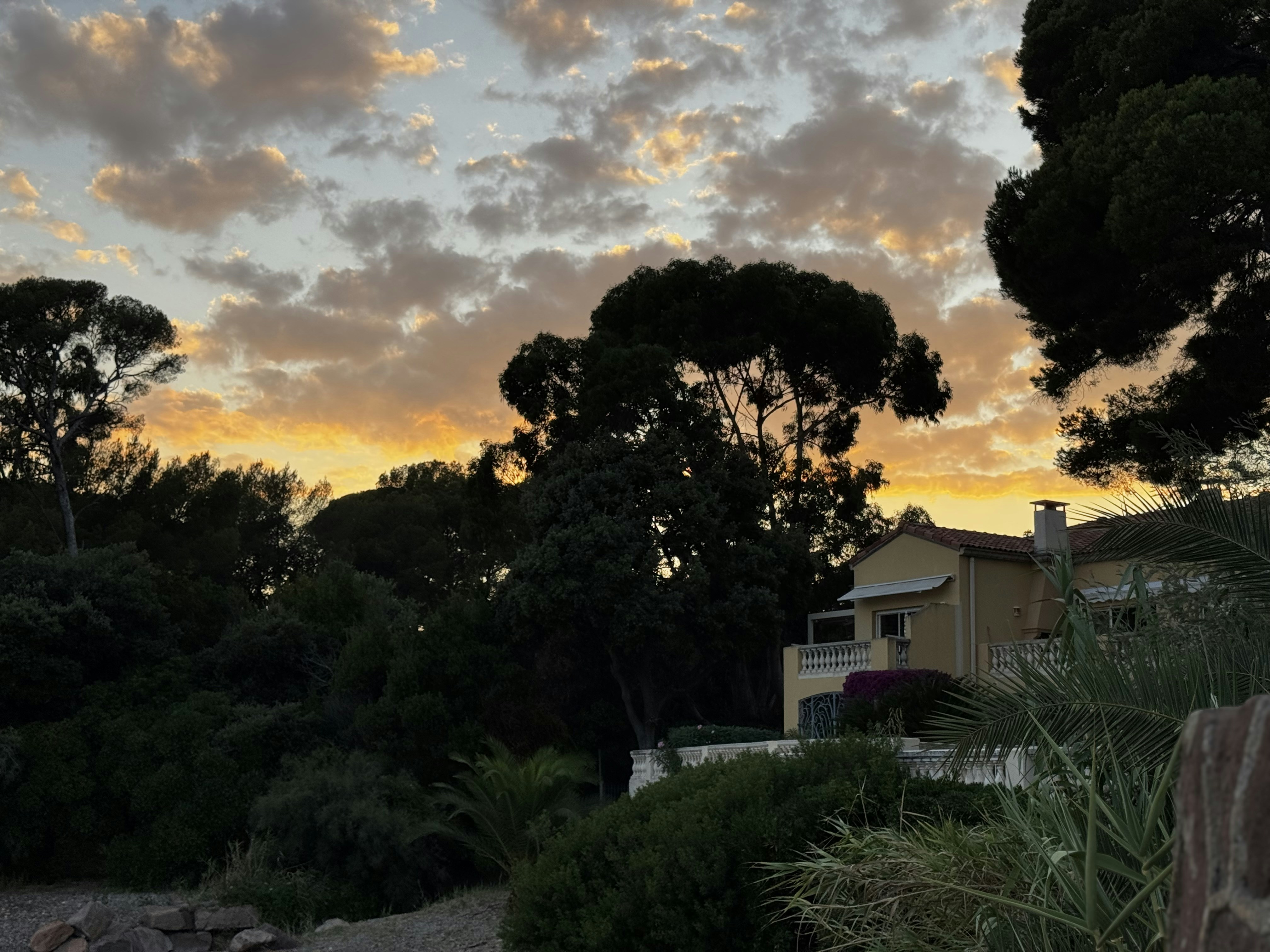 Photo by Ronald Vermeijs with Apple iPhone 15 Pro