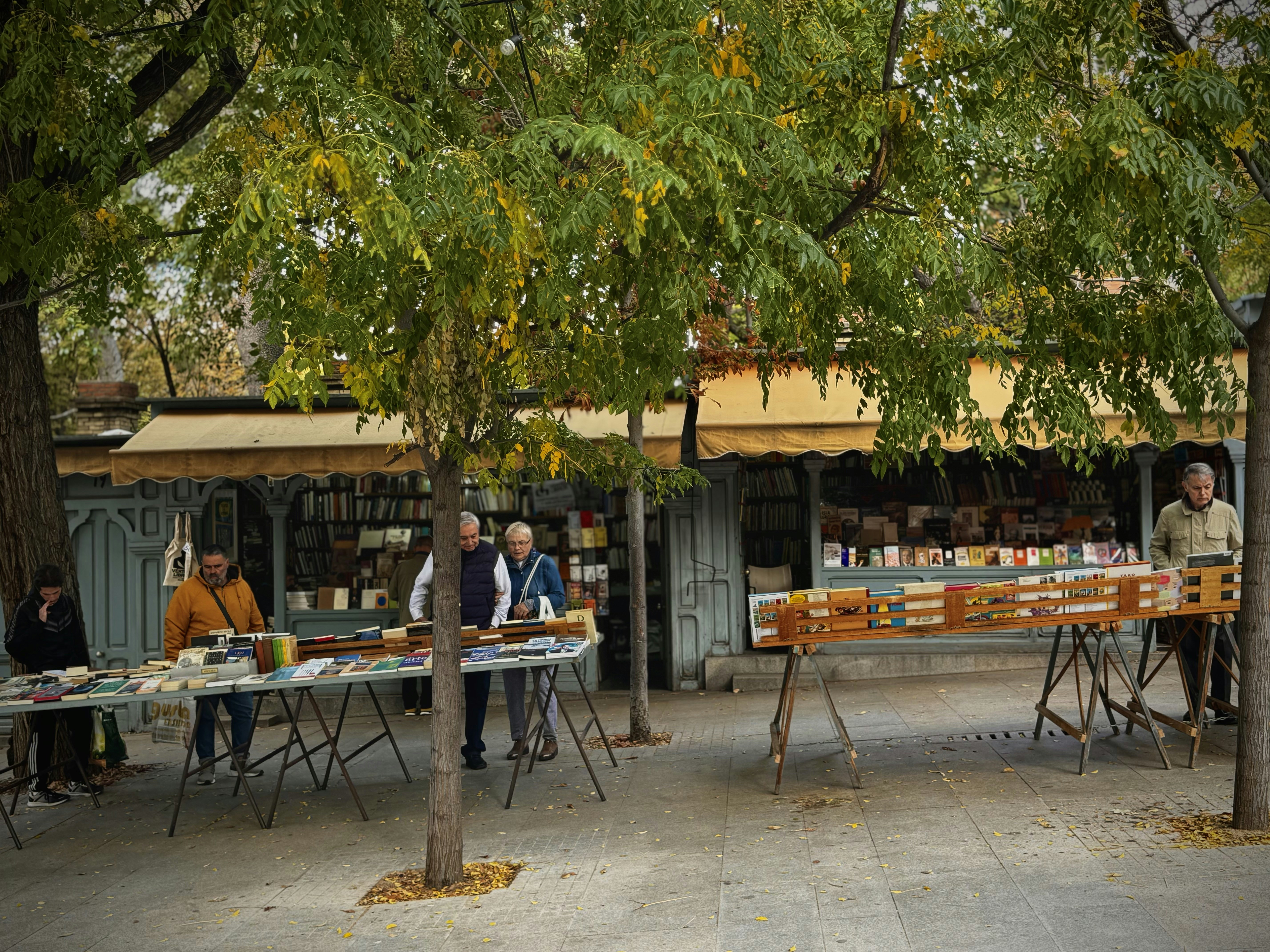 Market Stalls Under Dappled Autumn Light