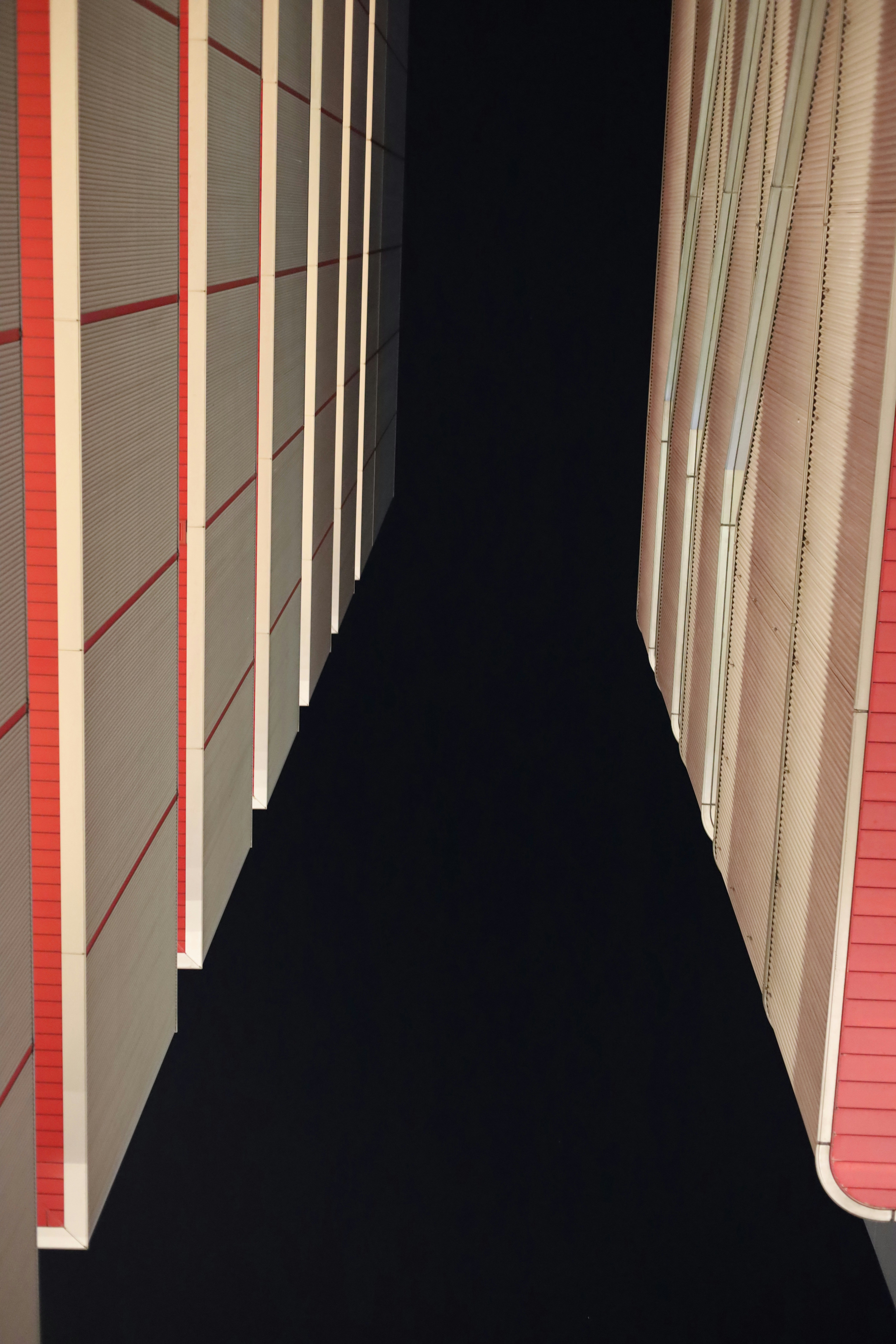 Photo by Walter Lee Olivares de la Cruz with Canon EOS RP