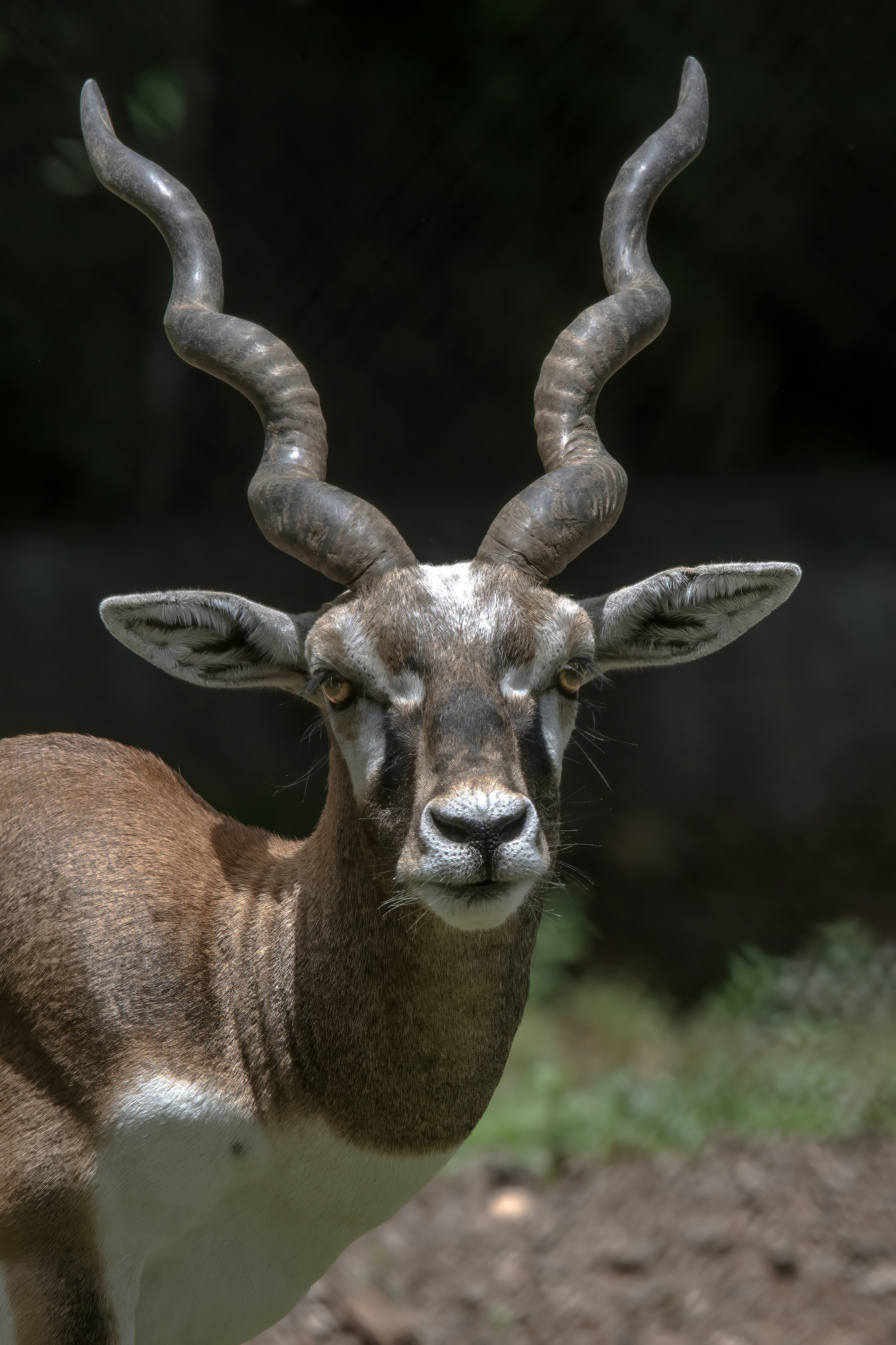 Photo by sergio fernandes with Nikon D750