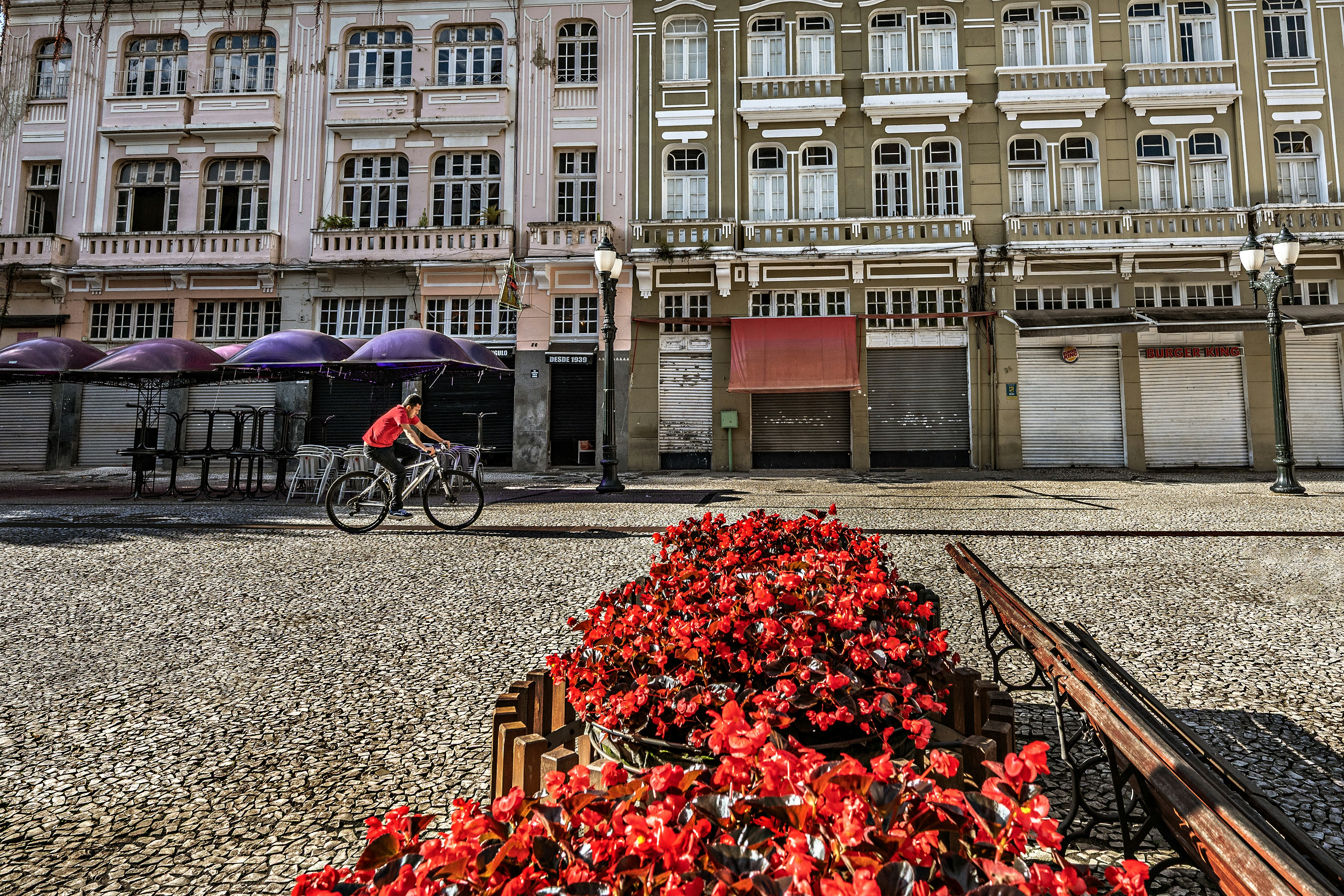 Photo by sergio fernandes with Nikon Z6 II