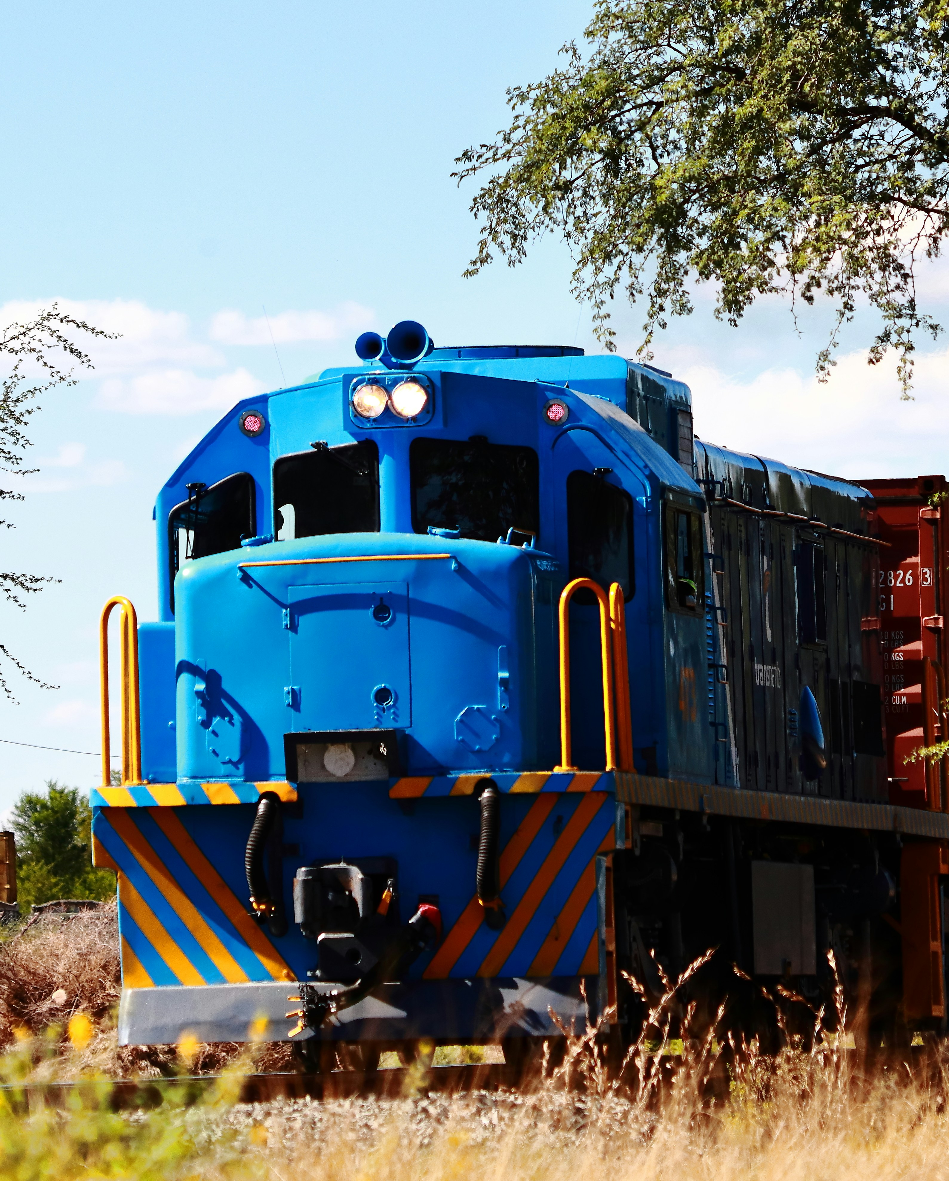 Blue Thunder on the Rails: A Closer Look at a Bright Locomotive
