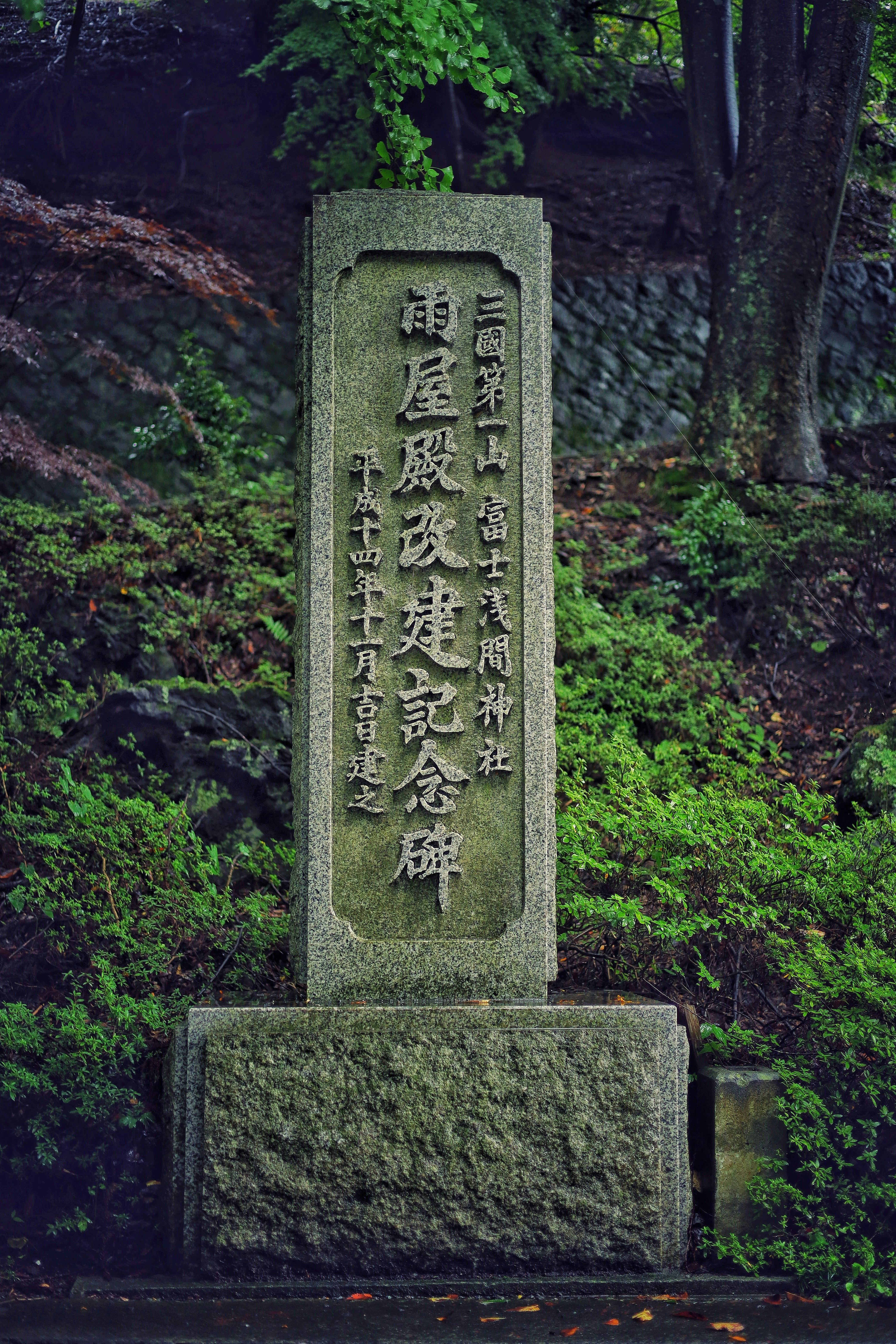 Photo by Walter Lee Olivares de la Cruz with Canon EOS RP