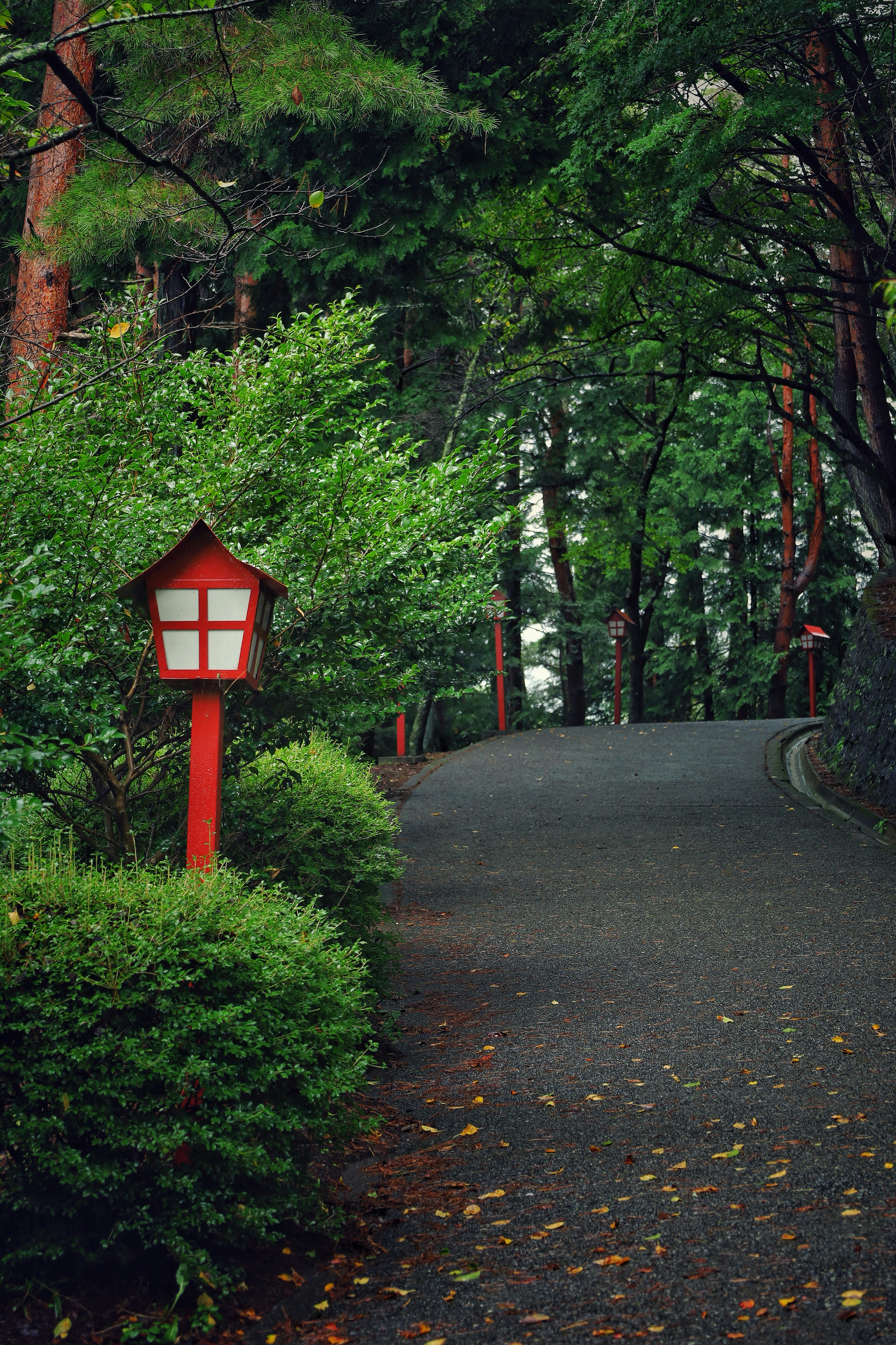 Photo by Walter Lee Olivares de la Cruz with Canon EOS RP