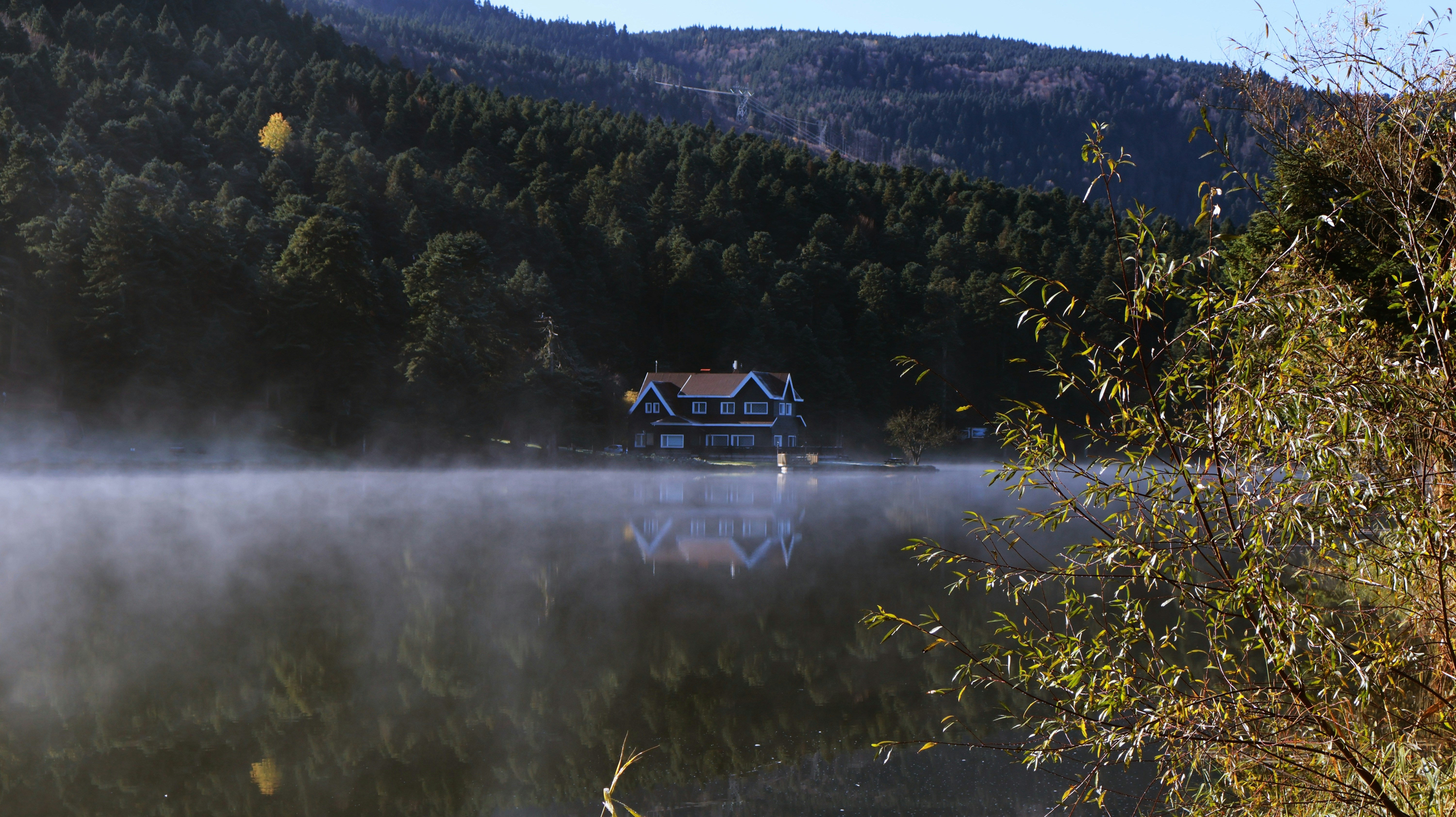 Mist on the Lake: A Quiet House Framed by Pines
