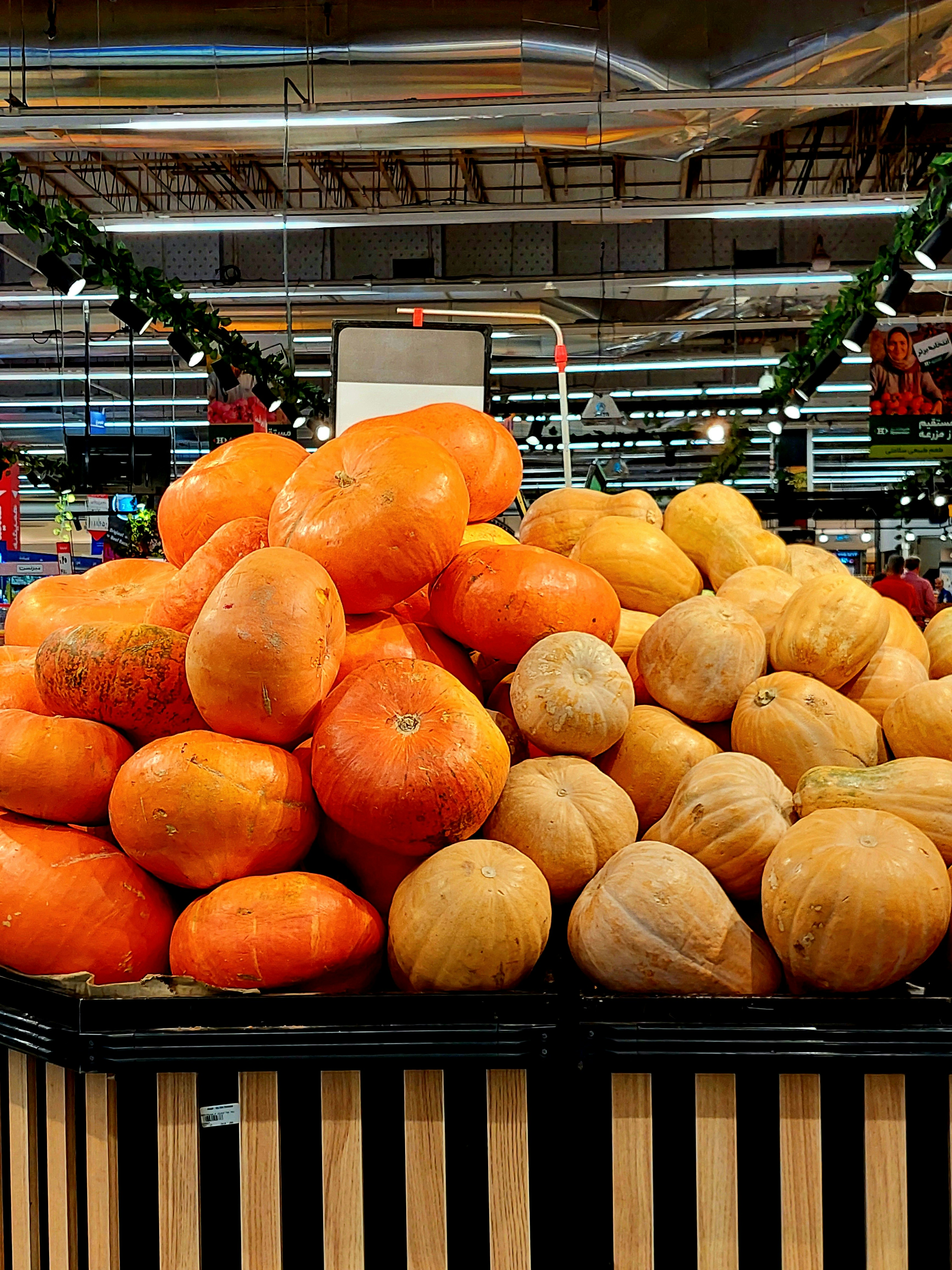 Photo by Mohamad Mostafa Salehi with Samsung Galaxy A72