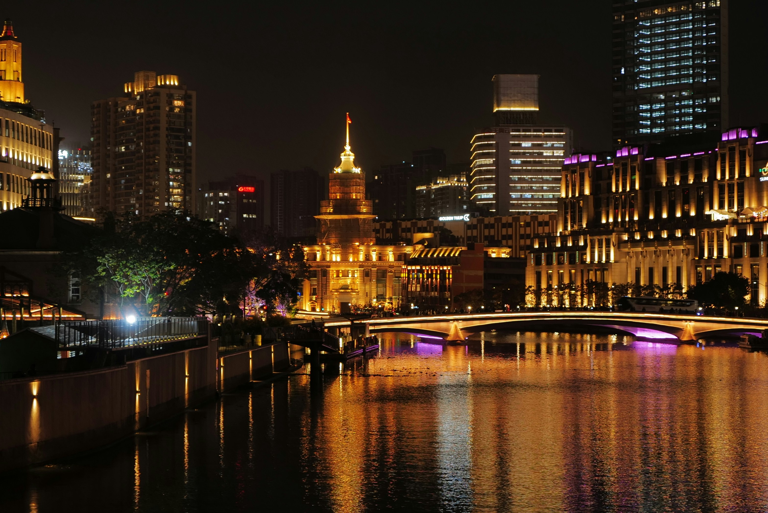 Golden River Ridge: Night Bloom Over Shanghai-esque Skyline