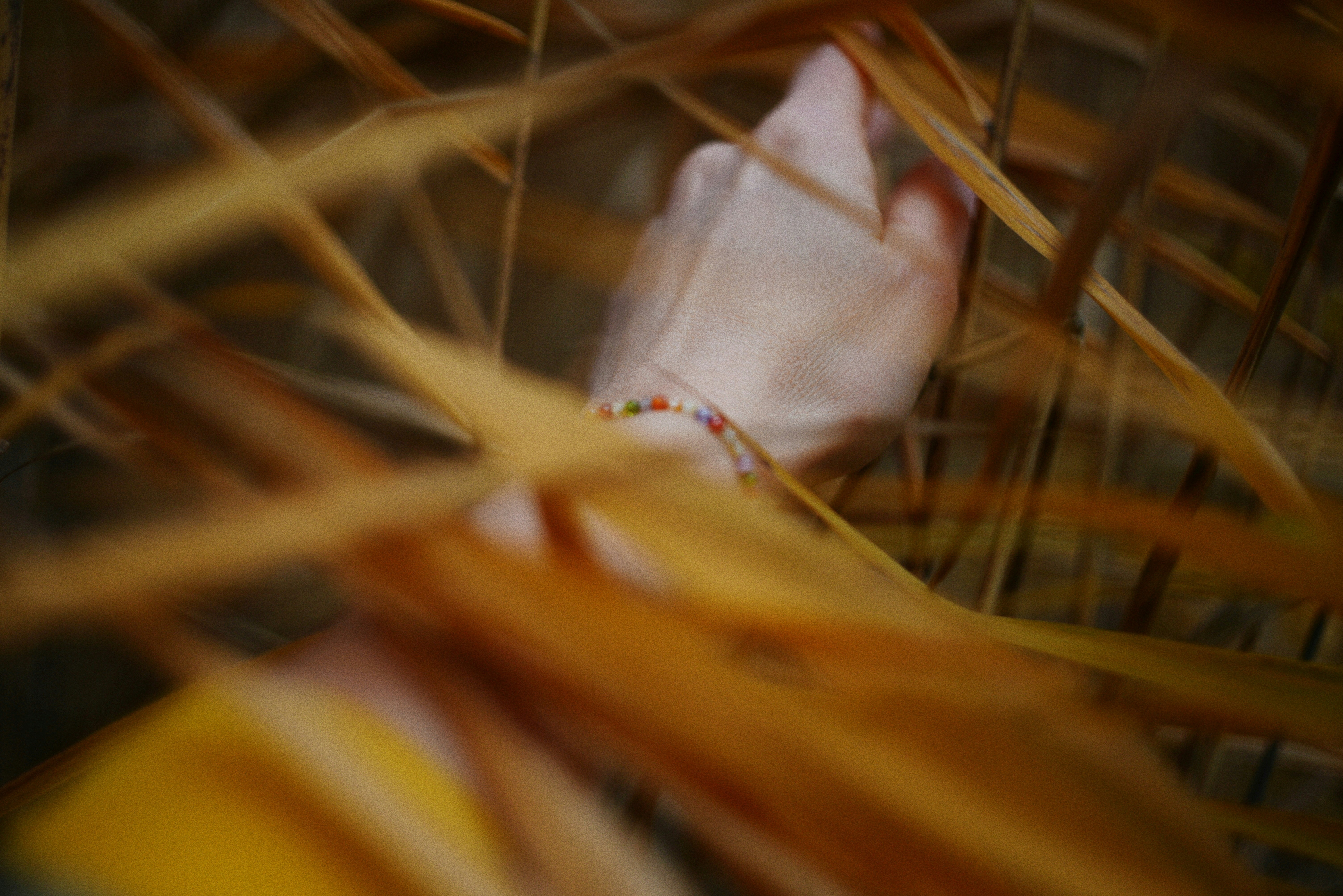 Photo by Liana S with Nikon D600