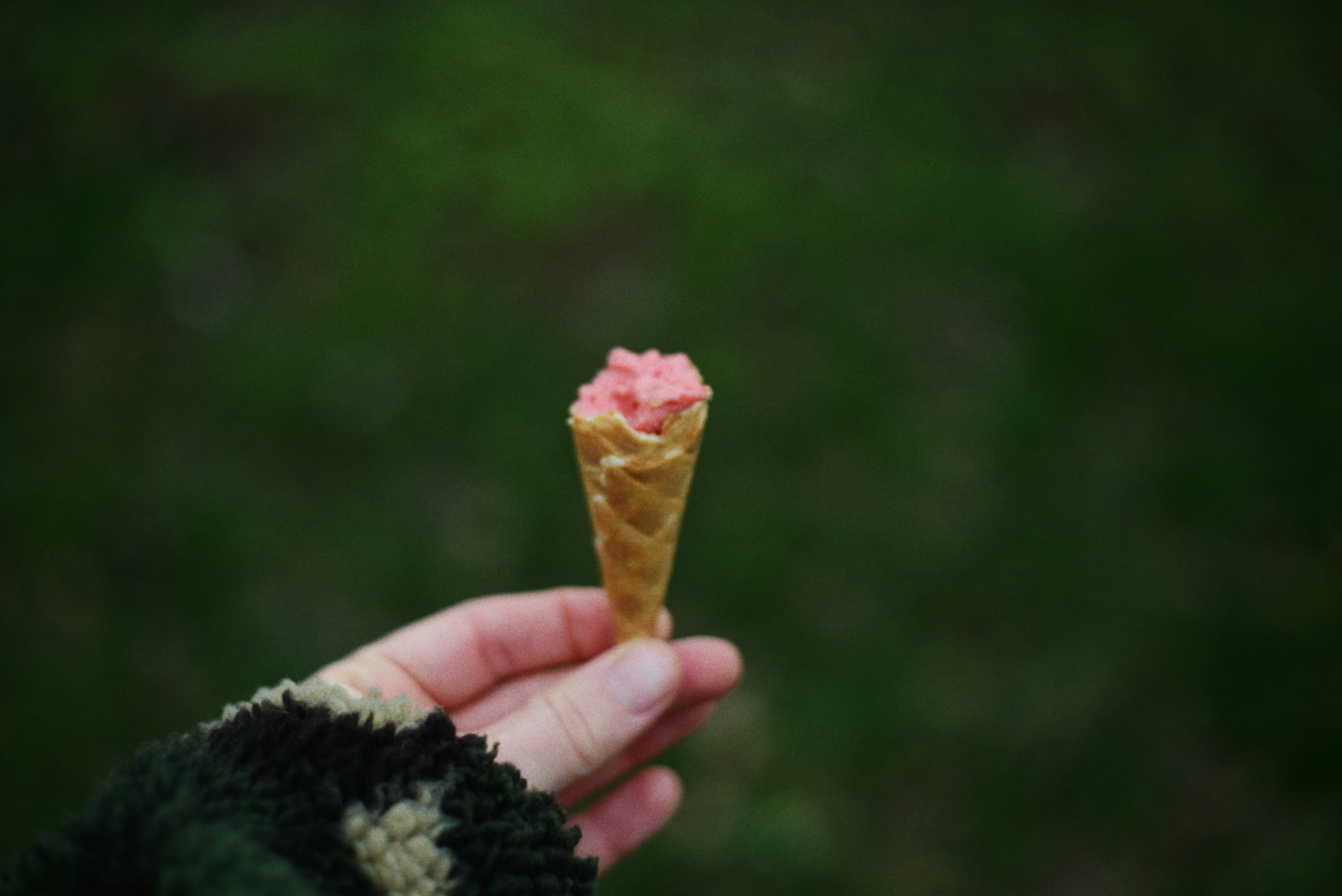 A Delicate Bite: Pink Ice Cream Cone Grasped Against Green Backdrop