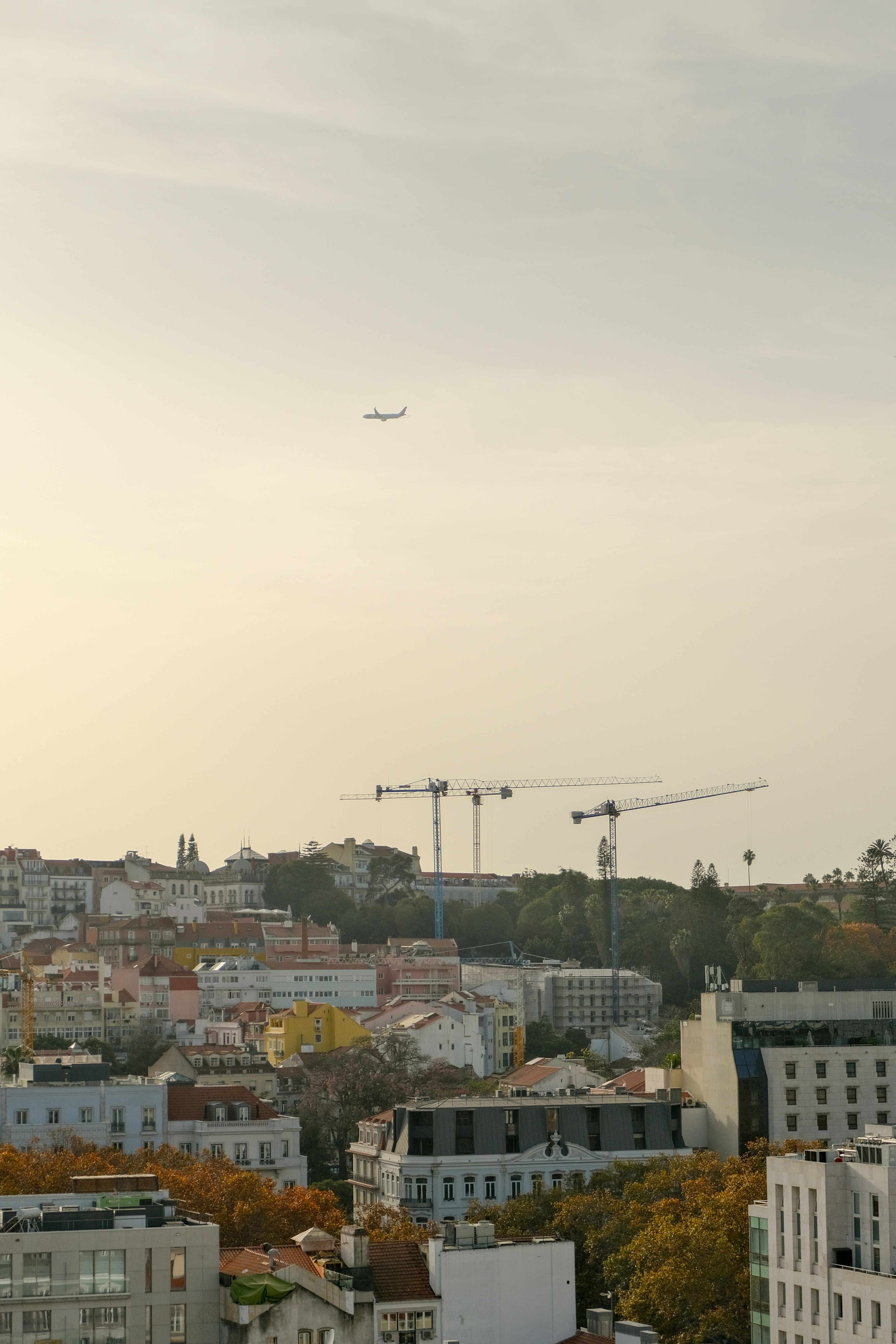 Cranes at Dusk Over a Quiet Cityscape