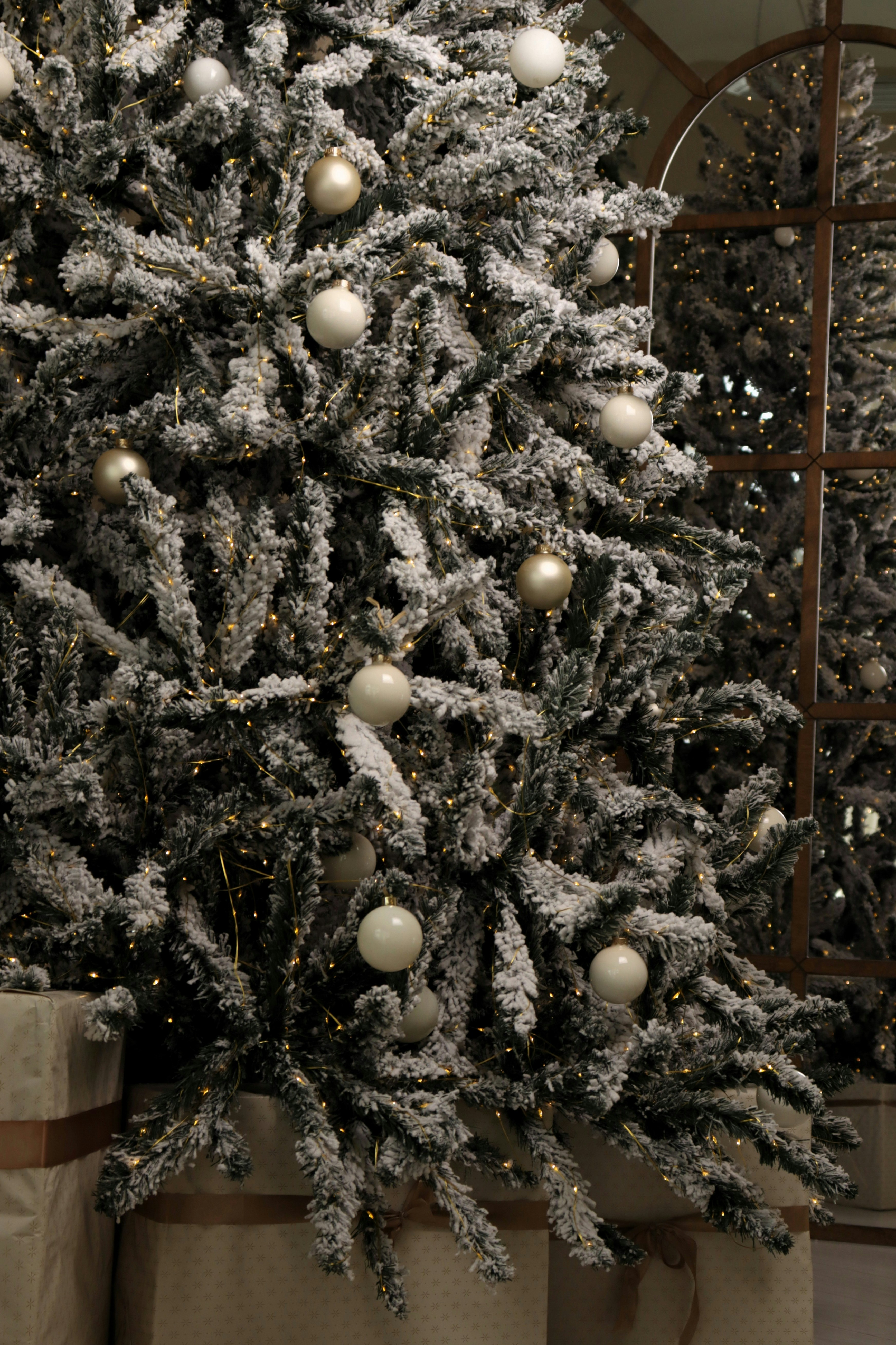 Snow-Capped Christmas Tree Boughs Reflecting Warm Lights