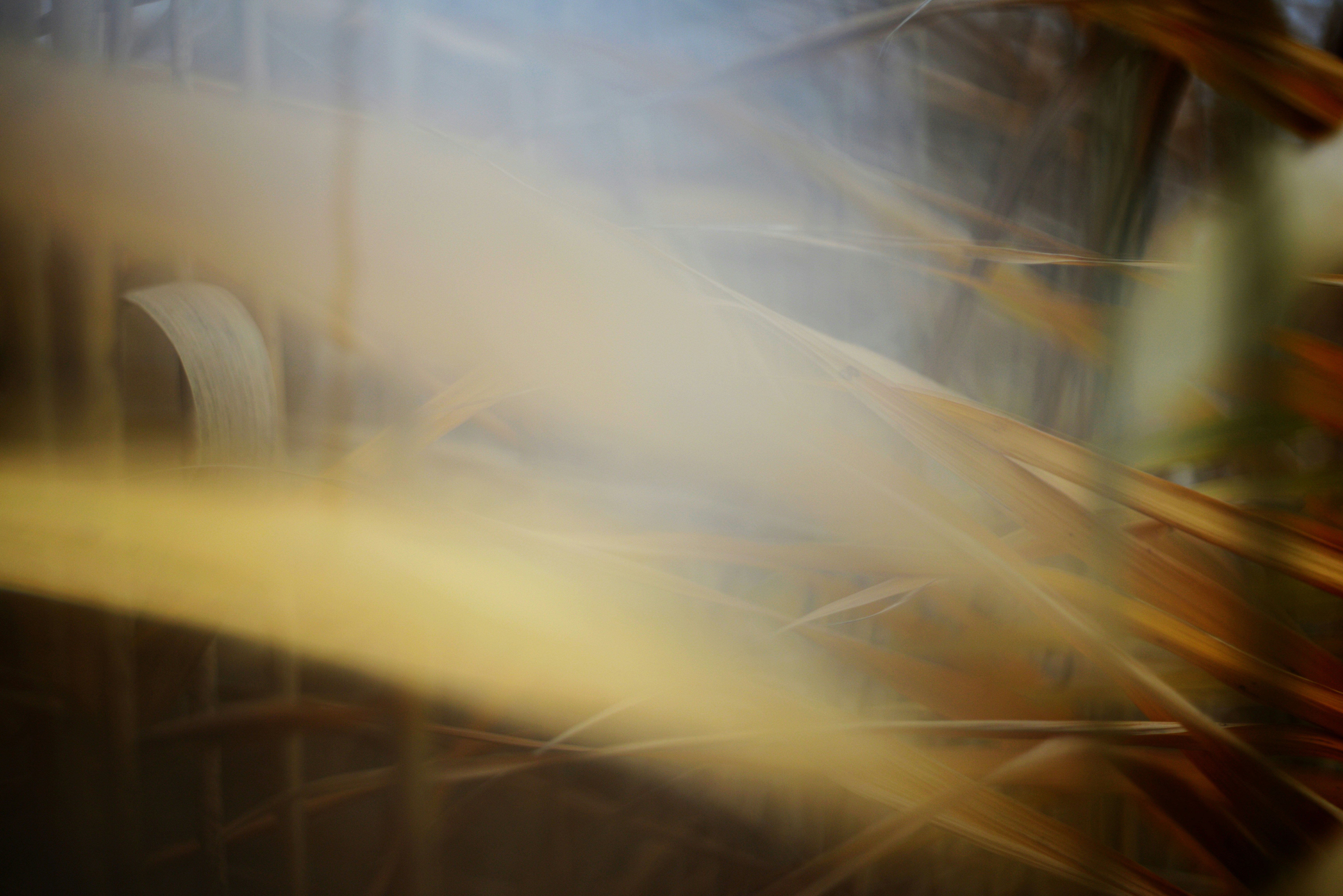 Veiled Motion: Abstract Light Through Harsh Grains