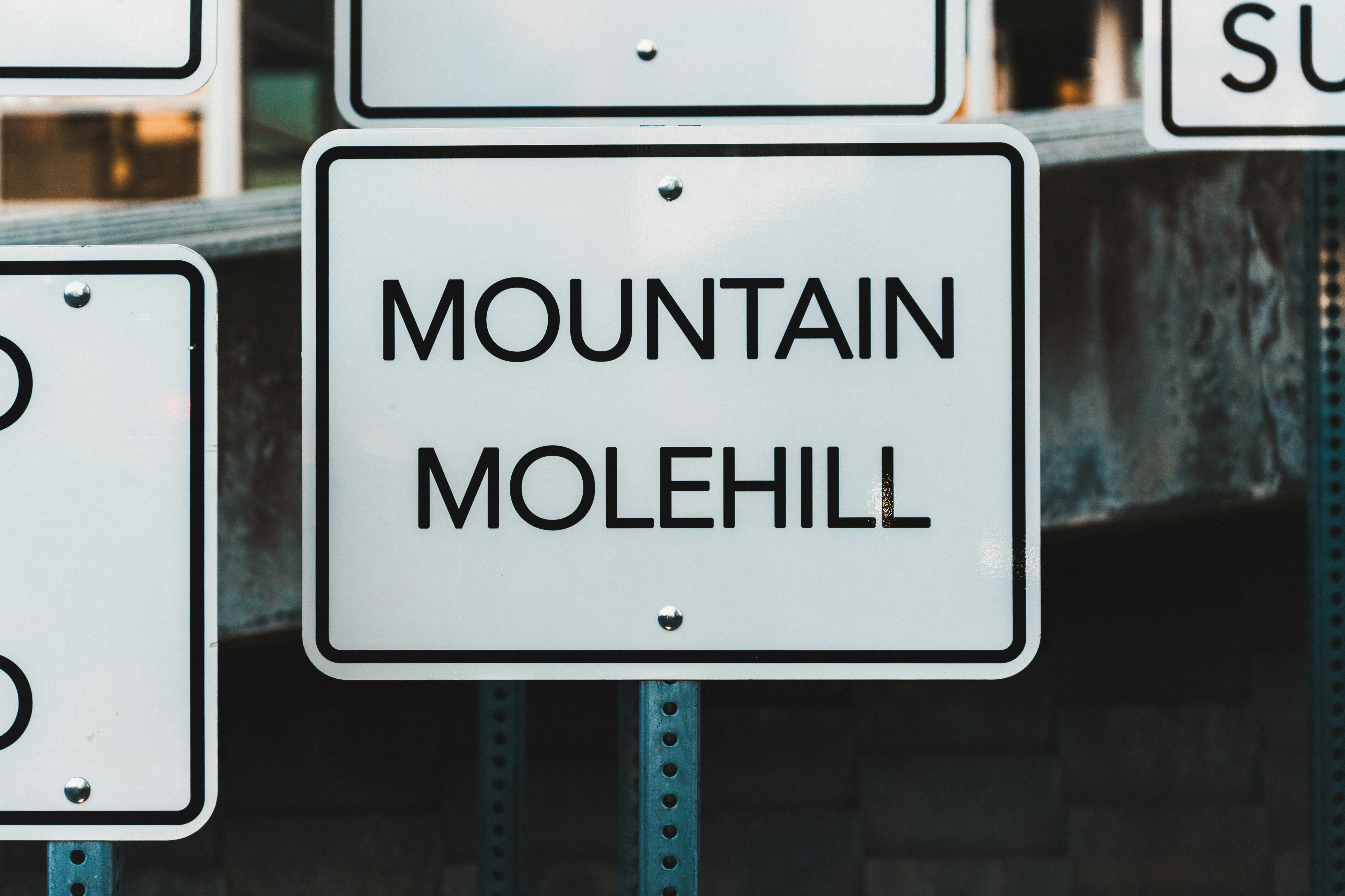 Sign Chorus: Mountain Molehill Roadway Mosaic