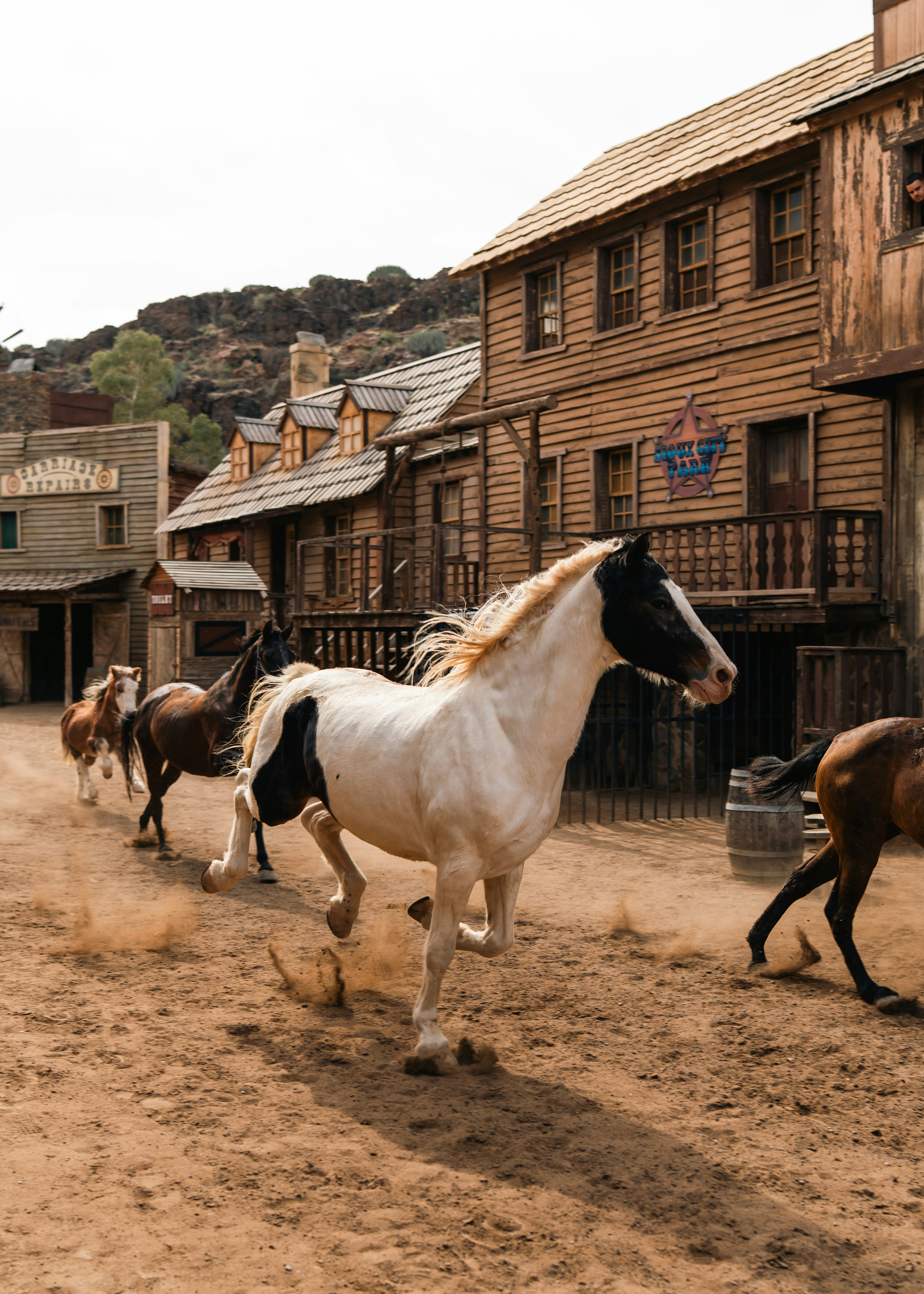 Running Wild Through a Frontier Town