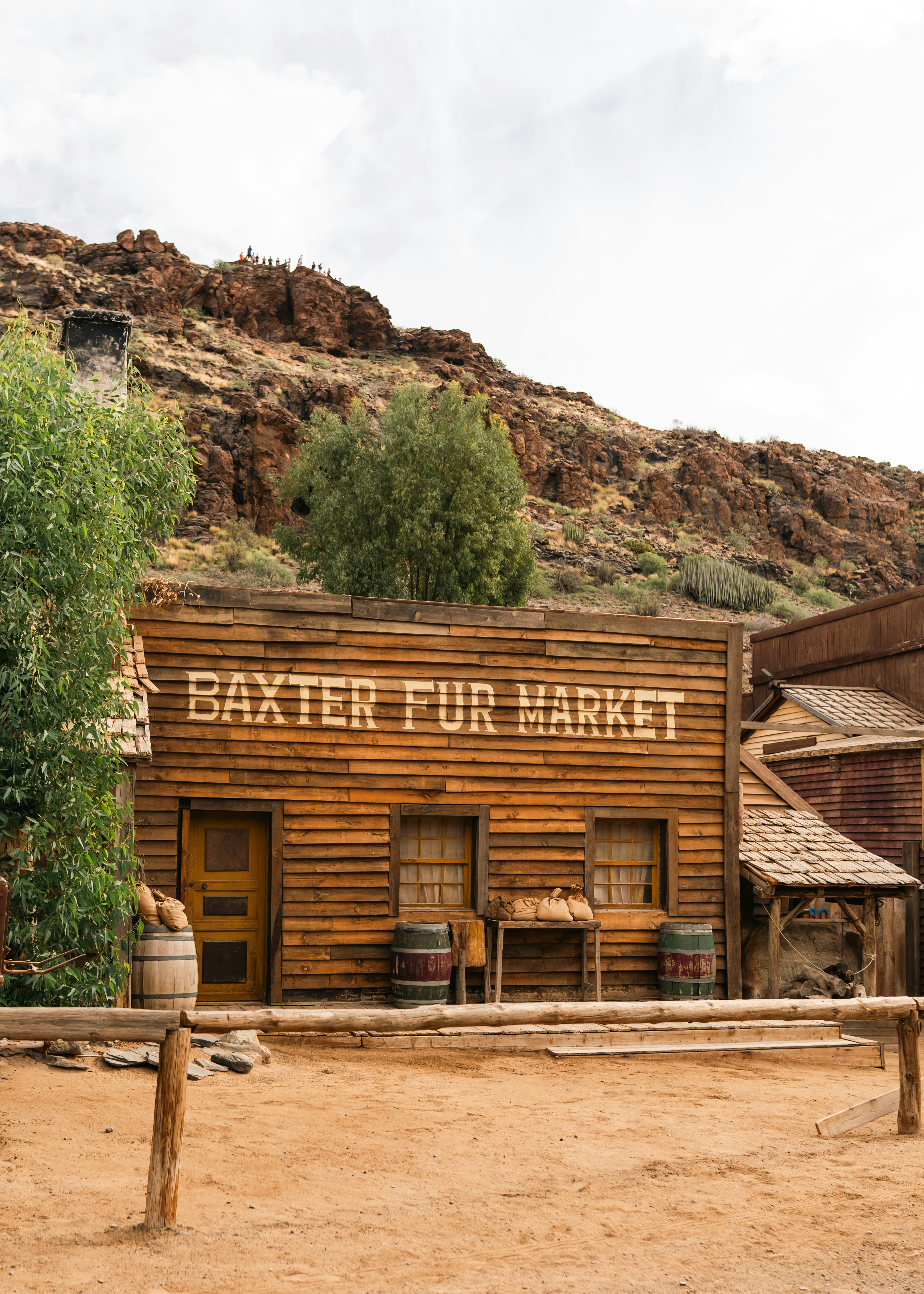 Frontier Market Facade: Baxter Fur in Painted Light