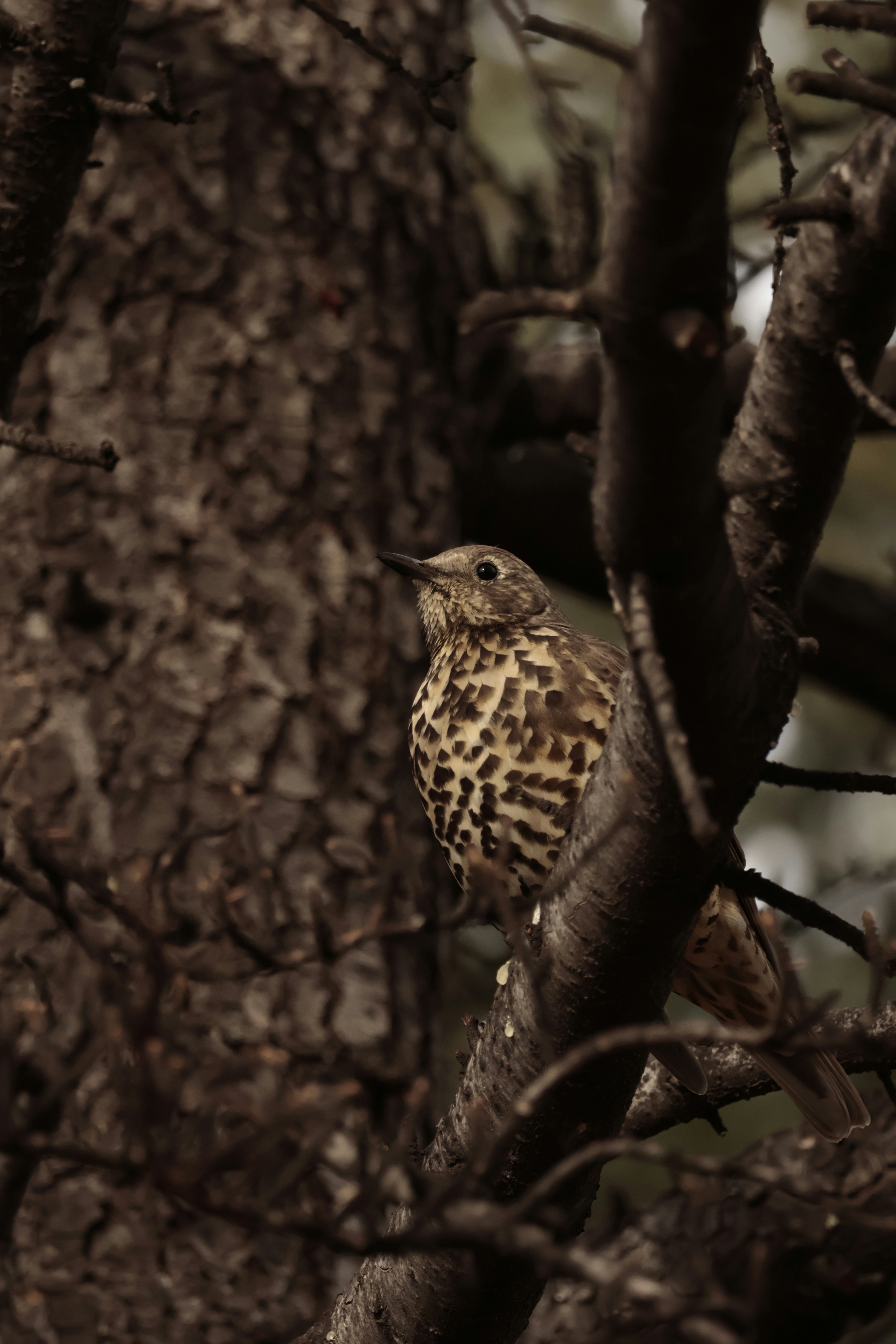 Photo by burak emre cıra with Canon EOS R10