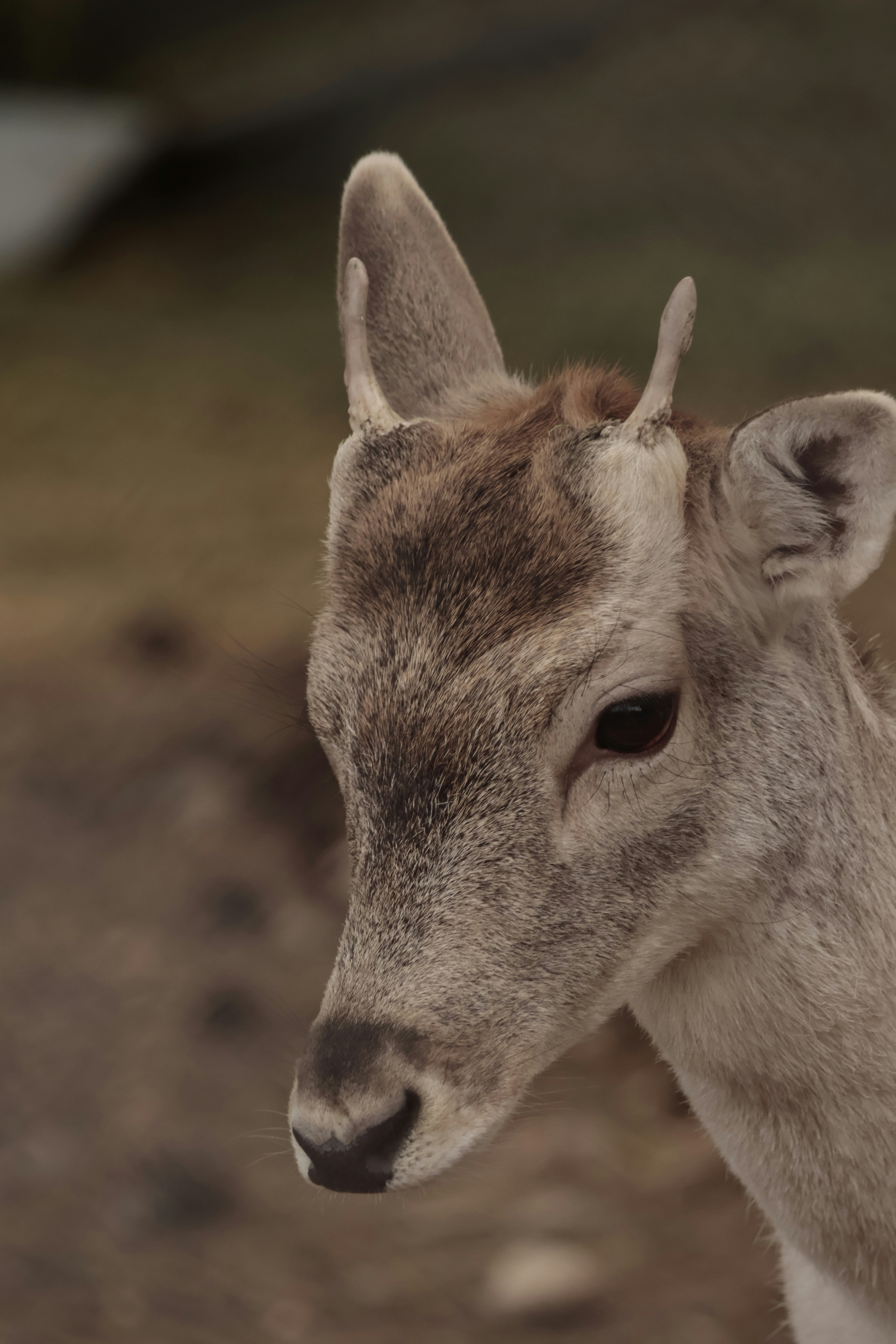 Photo by burak emre cıra with Canon EOS R10