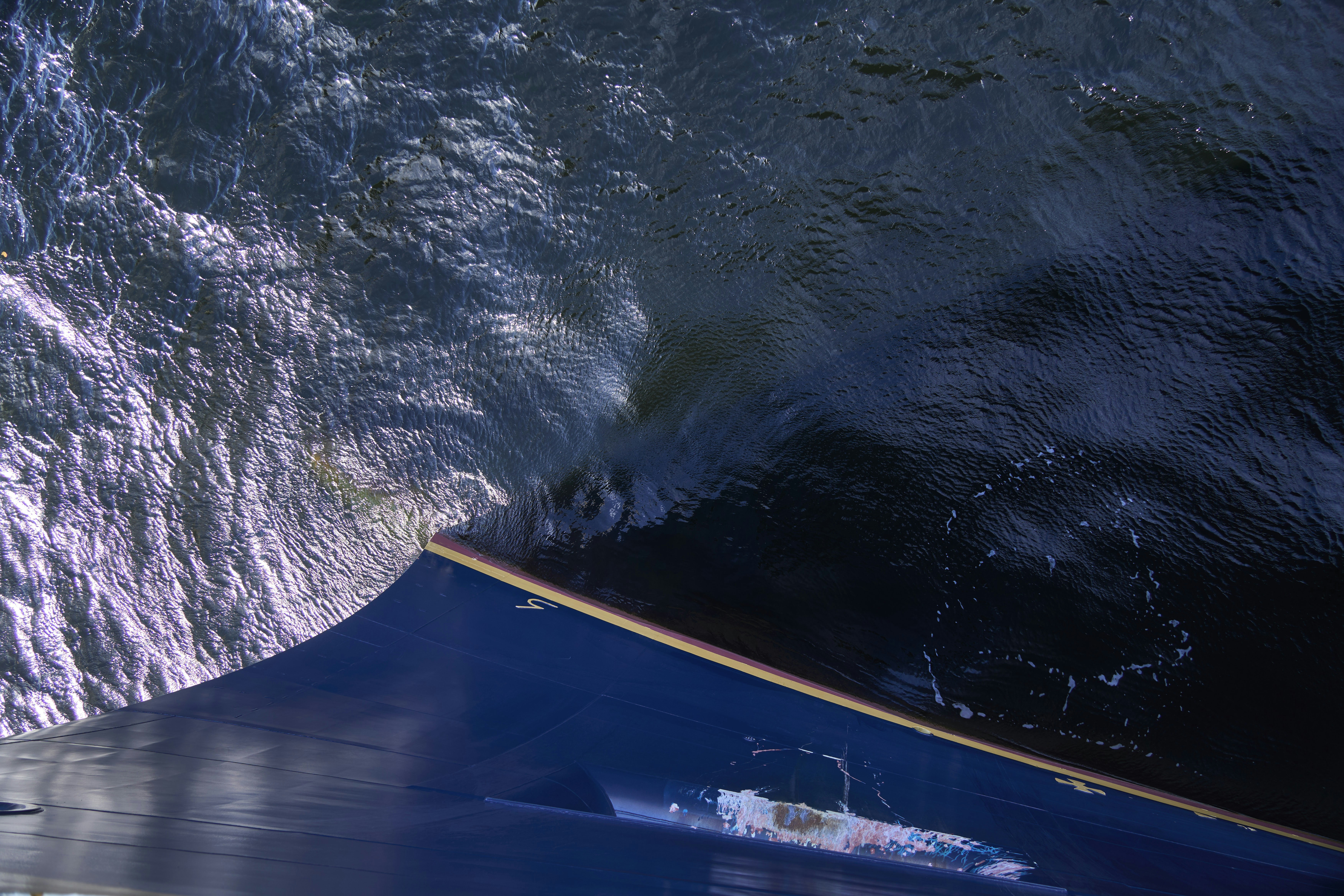 Photo by Wolfgang Hasselmann with Sony Alpha 7 IV