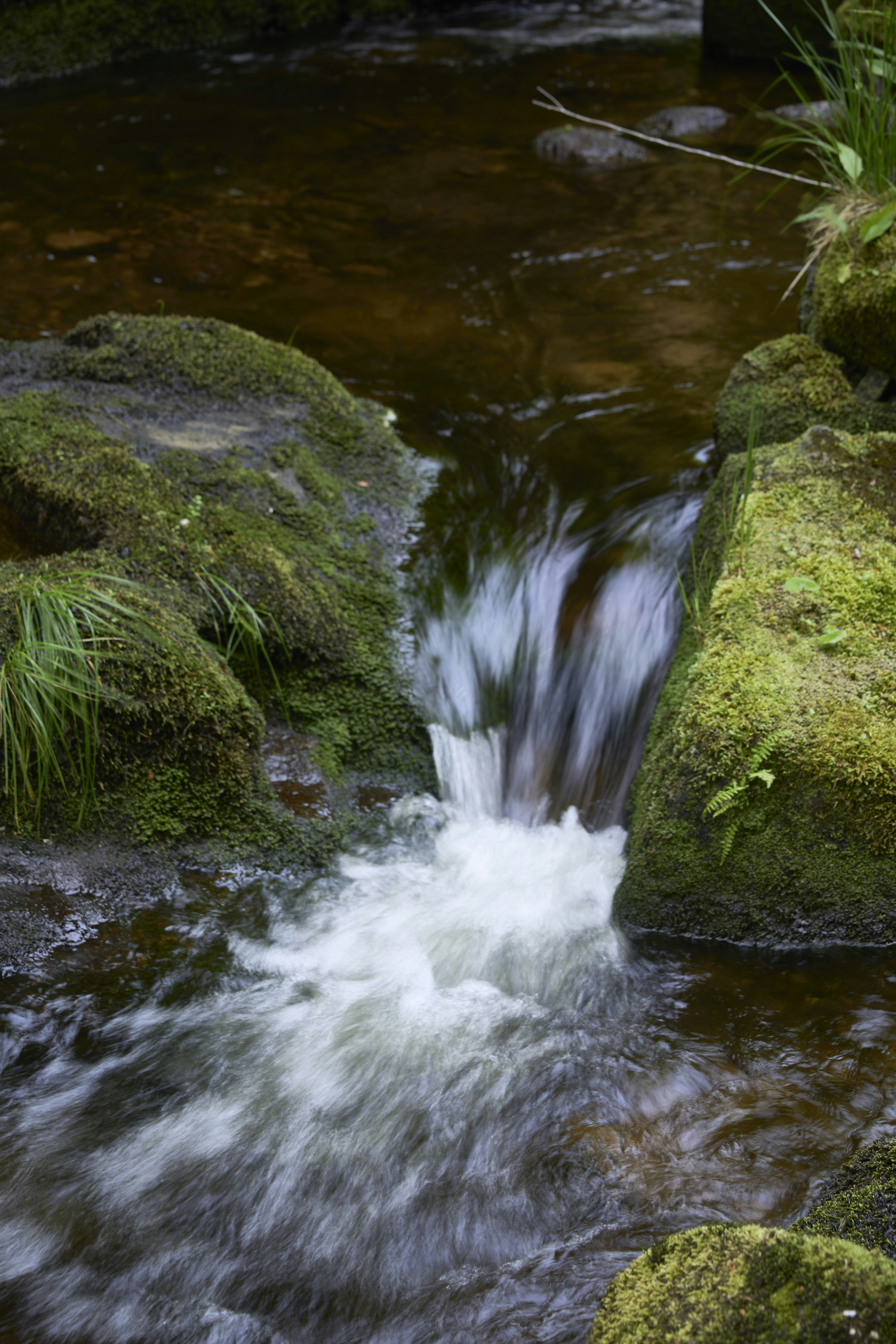 Moss-Cilled Cascade Through Quiet Stream
