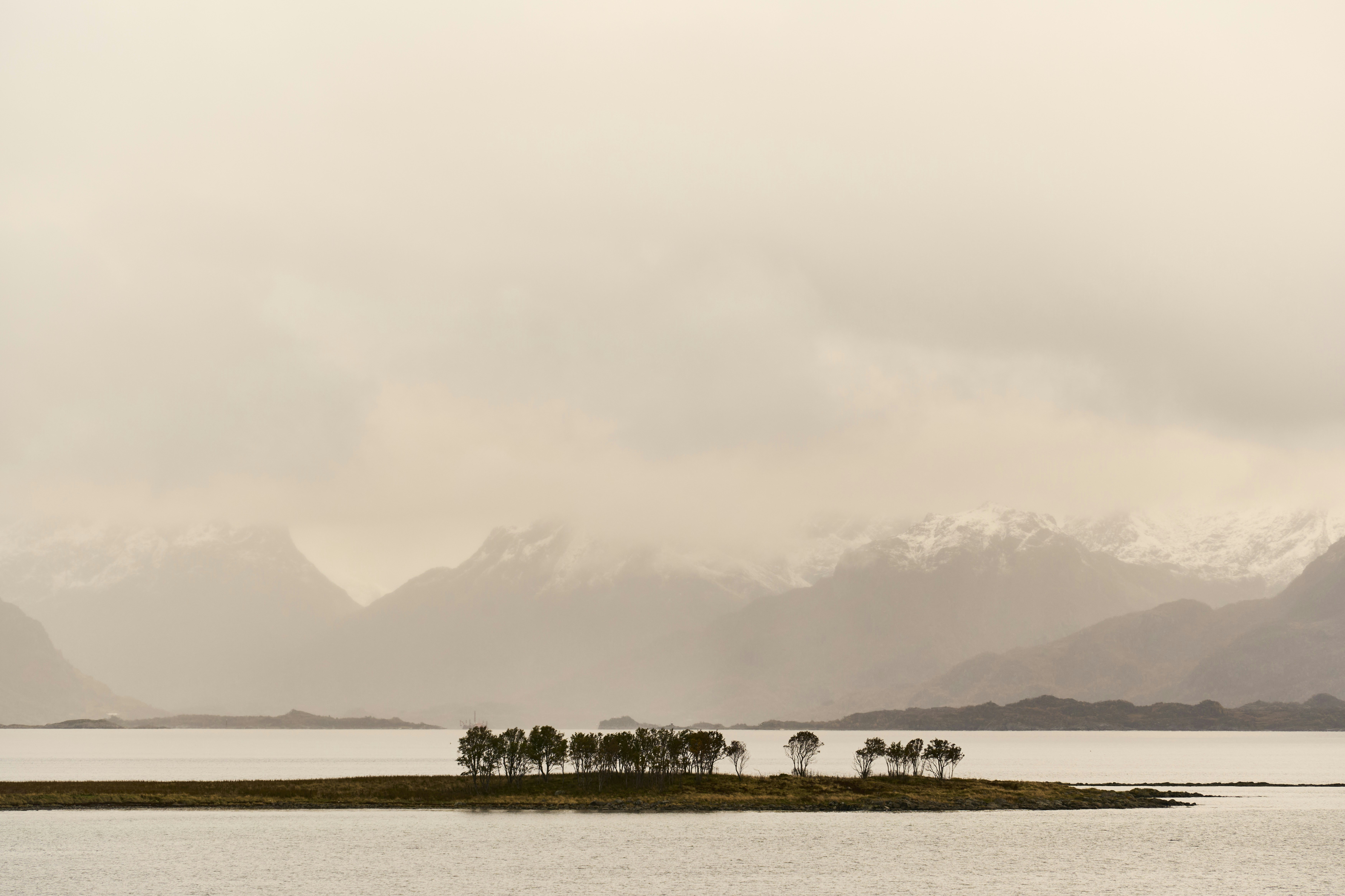 Photo by Wolfgang Hasselmann with Sony Alpha 7 IV