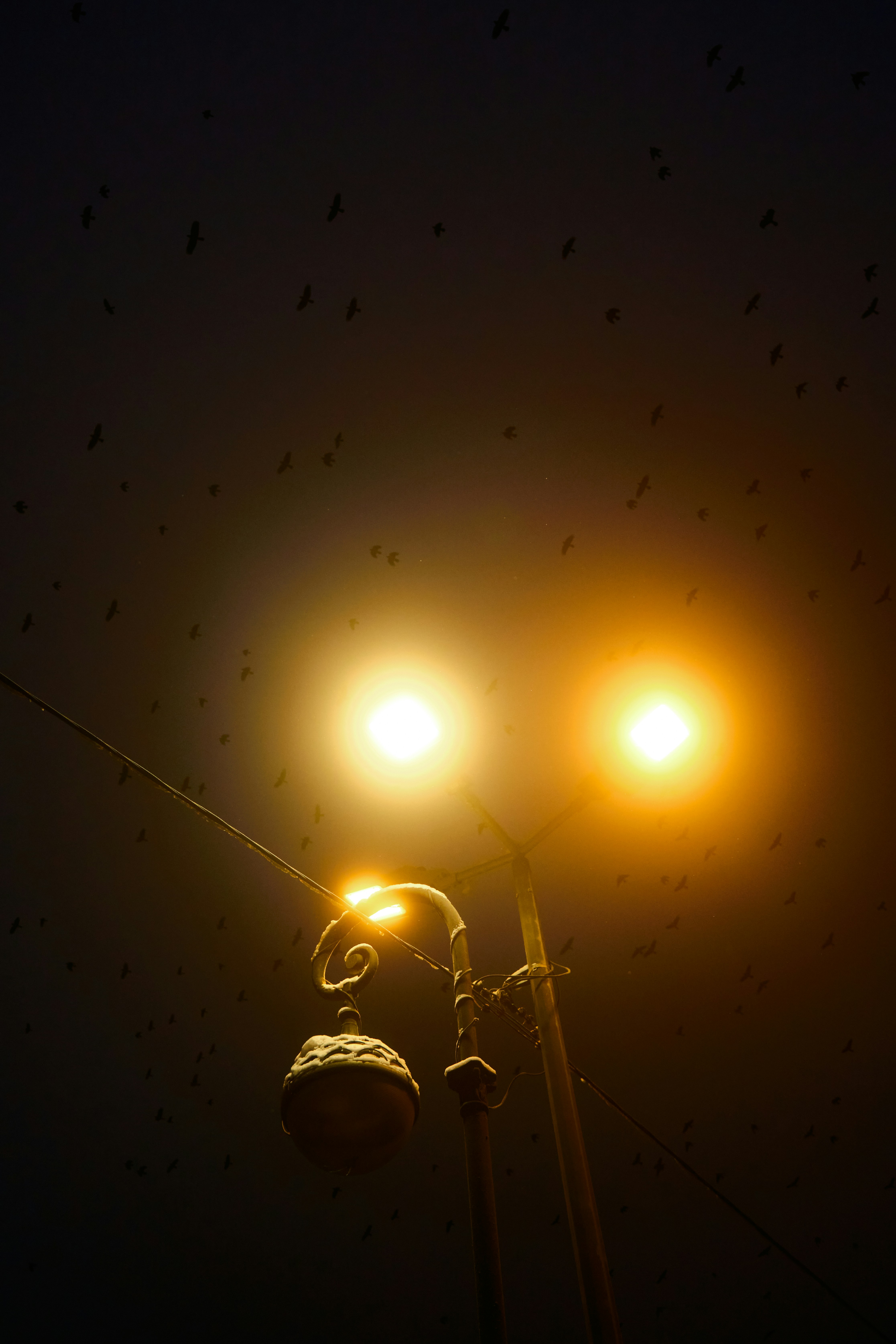 Night Streetlamp Constellation: A Distant Flight Beneath Quiet Orbs