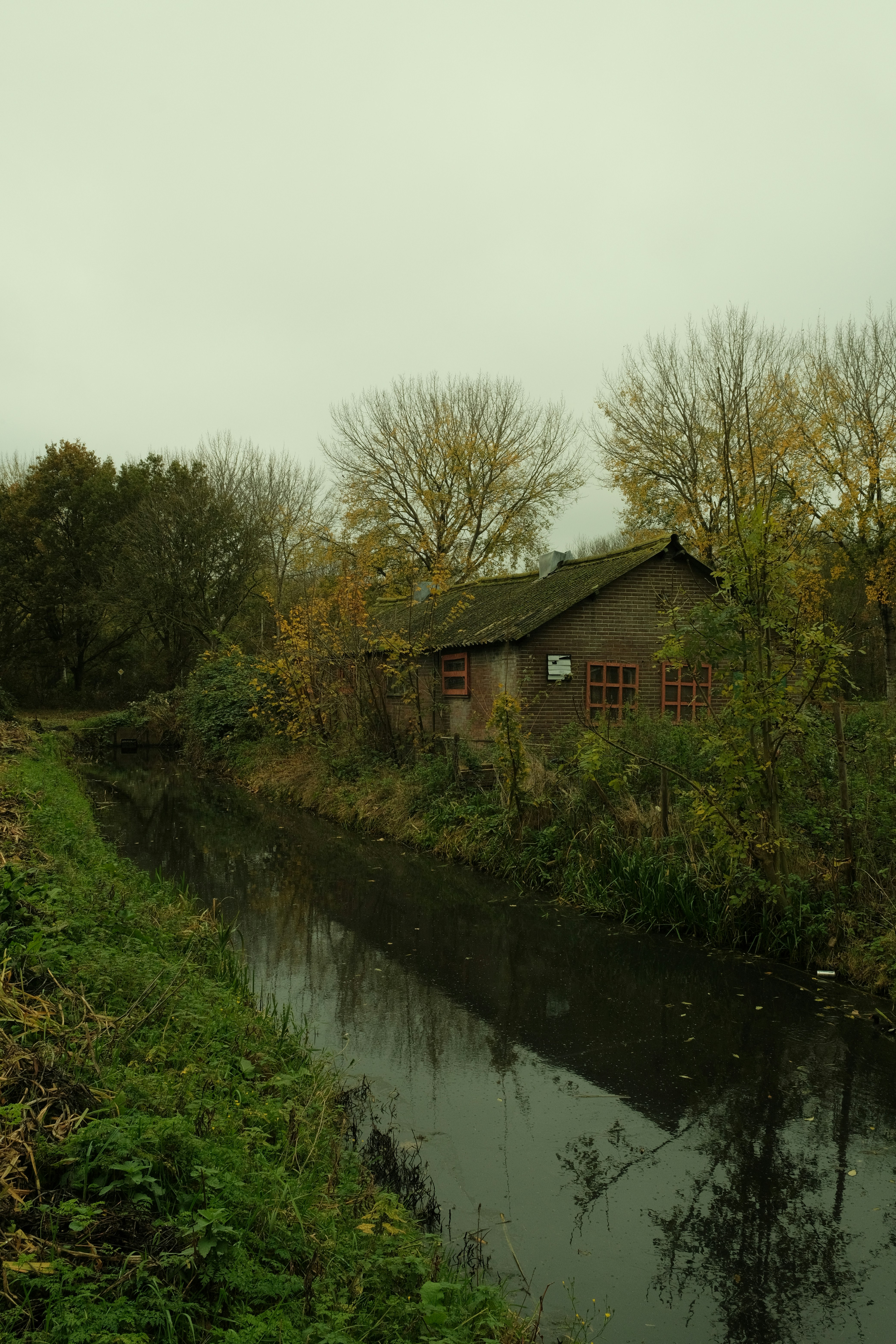 River-side Cabin Amid Autumn Stillness