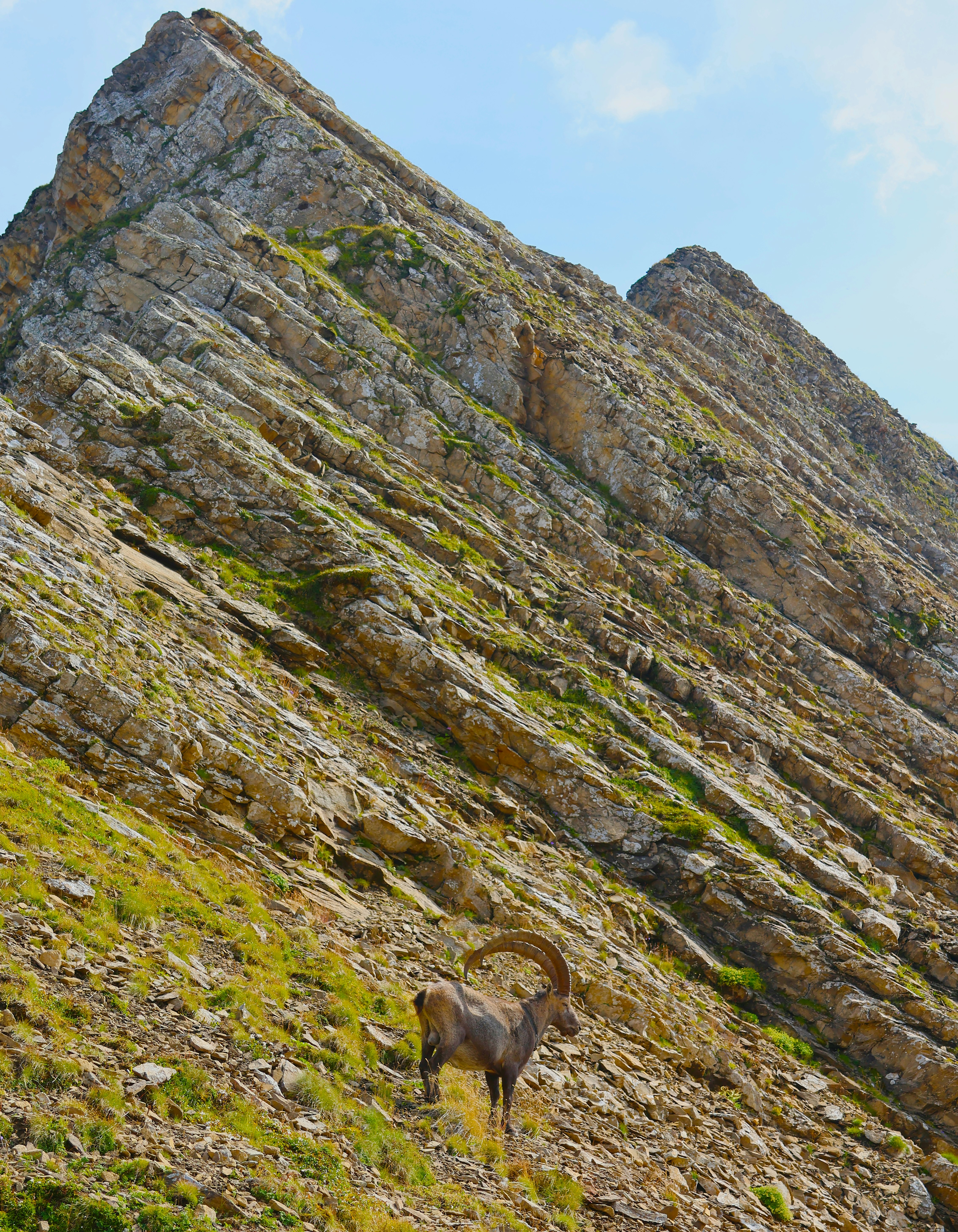 Photo by Damien Reviron with Canon EOS R7