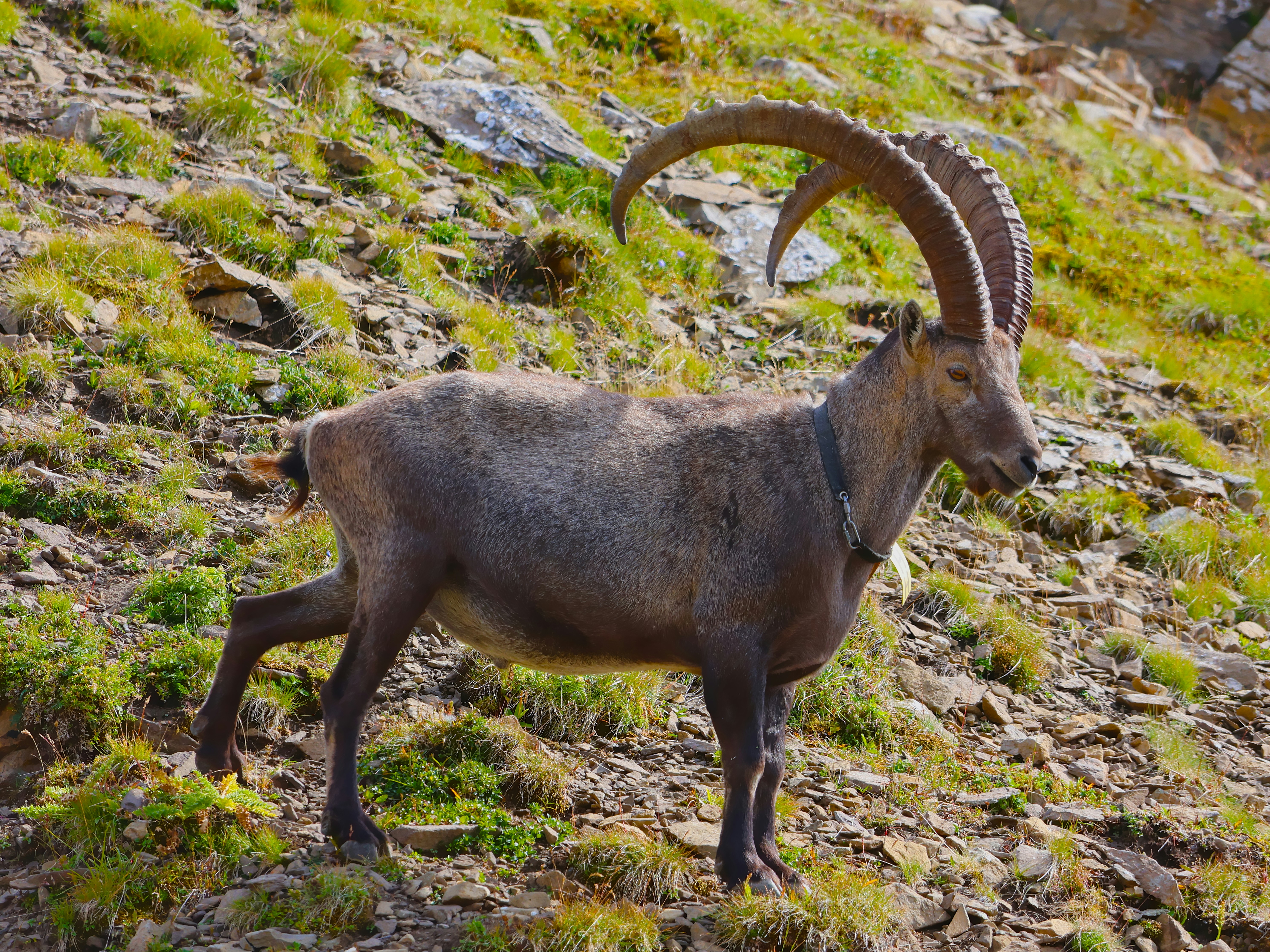 Photo by Damien Reviron with Canon EOS R7