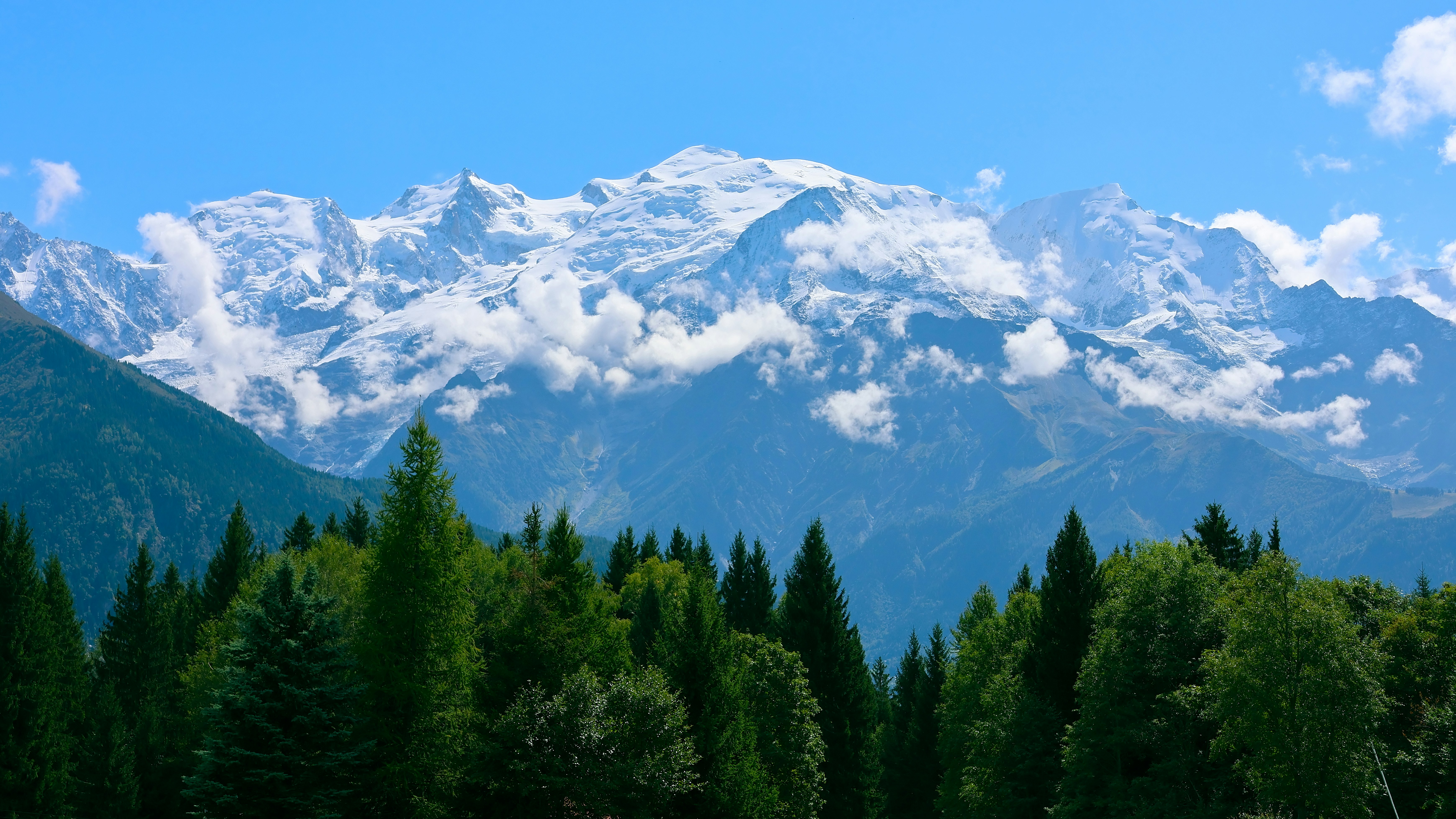 Snow-capped mountains rise above a green forest photo – Free Forest ...