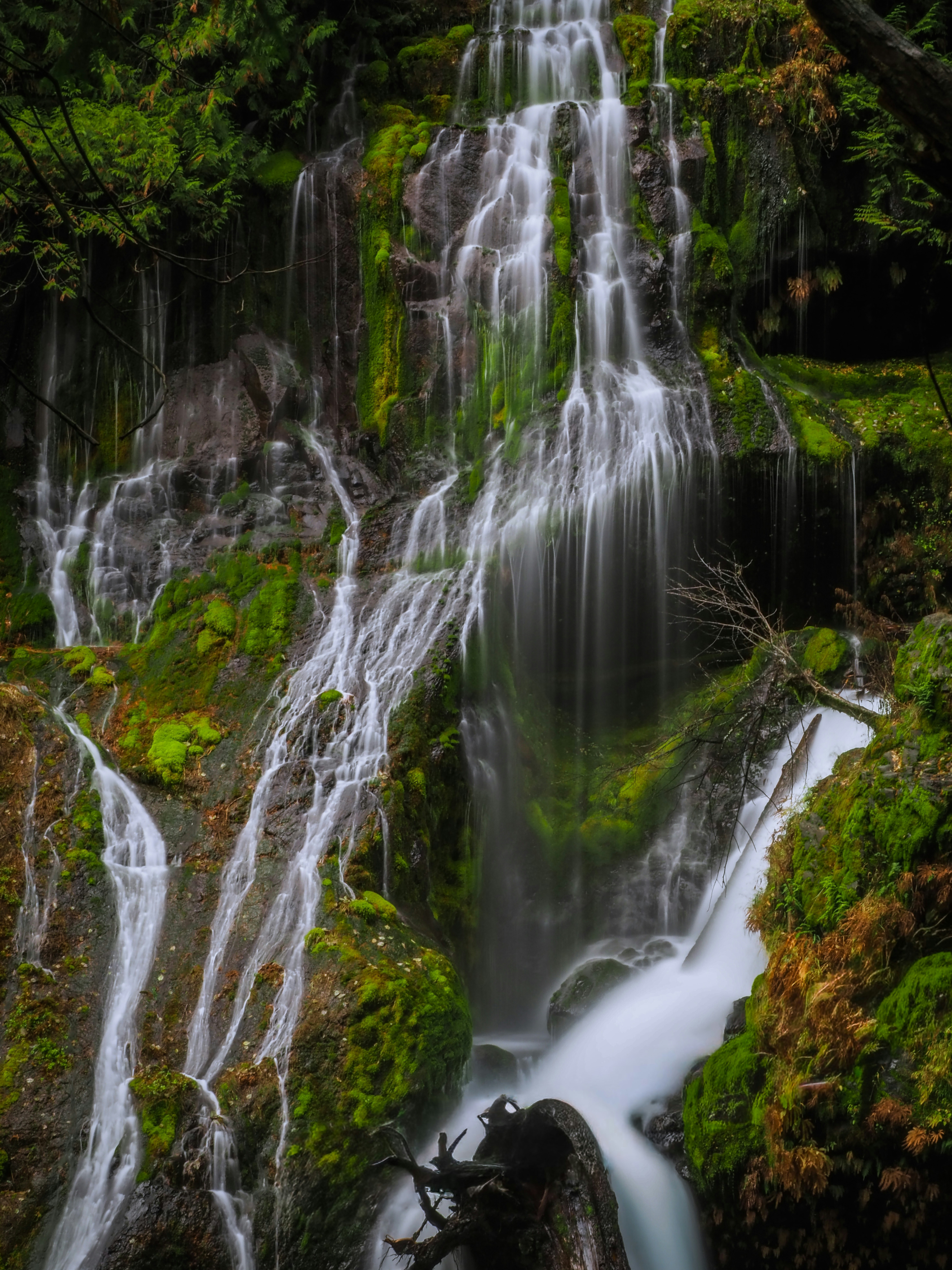 Soft water runs down the green moss covered cliff side.
