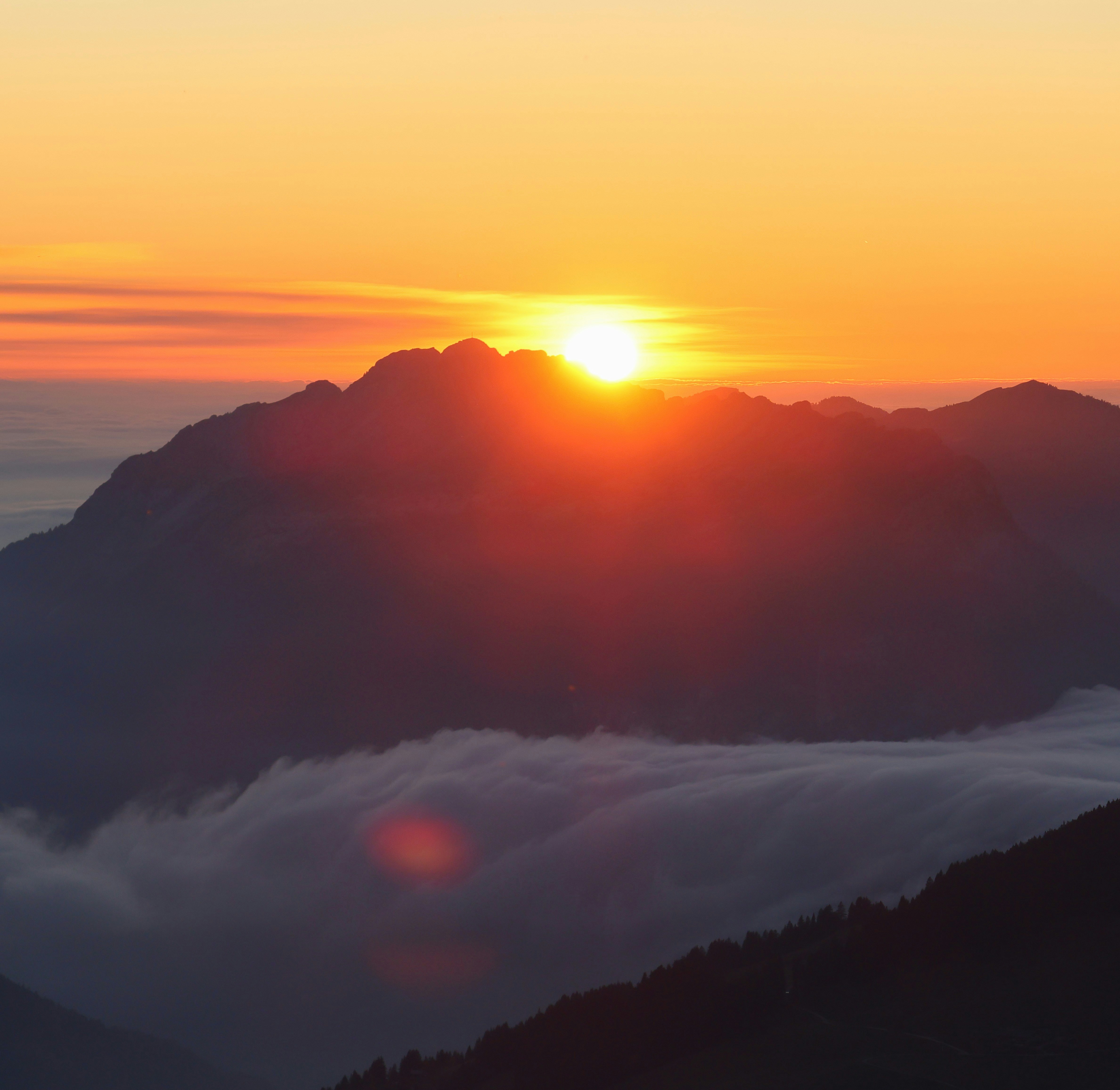 Photo by Damien Reviron with Canon EOS R7