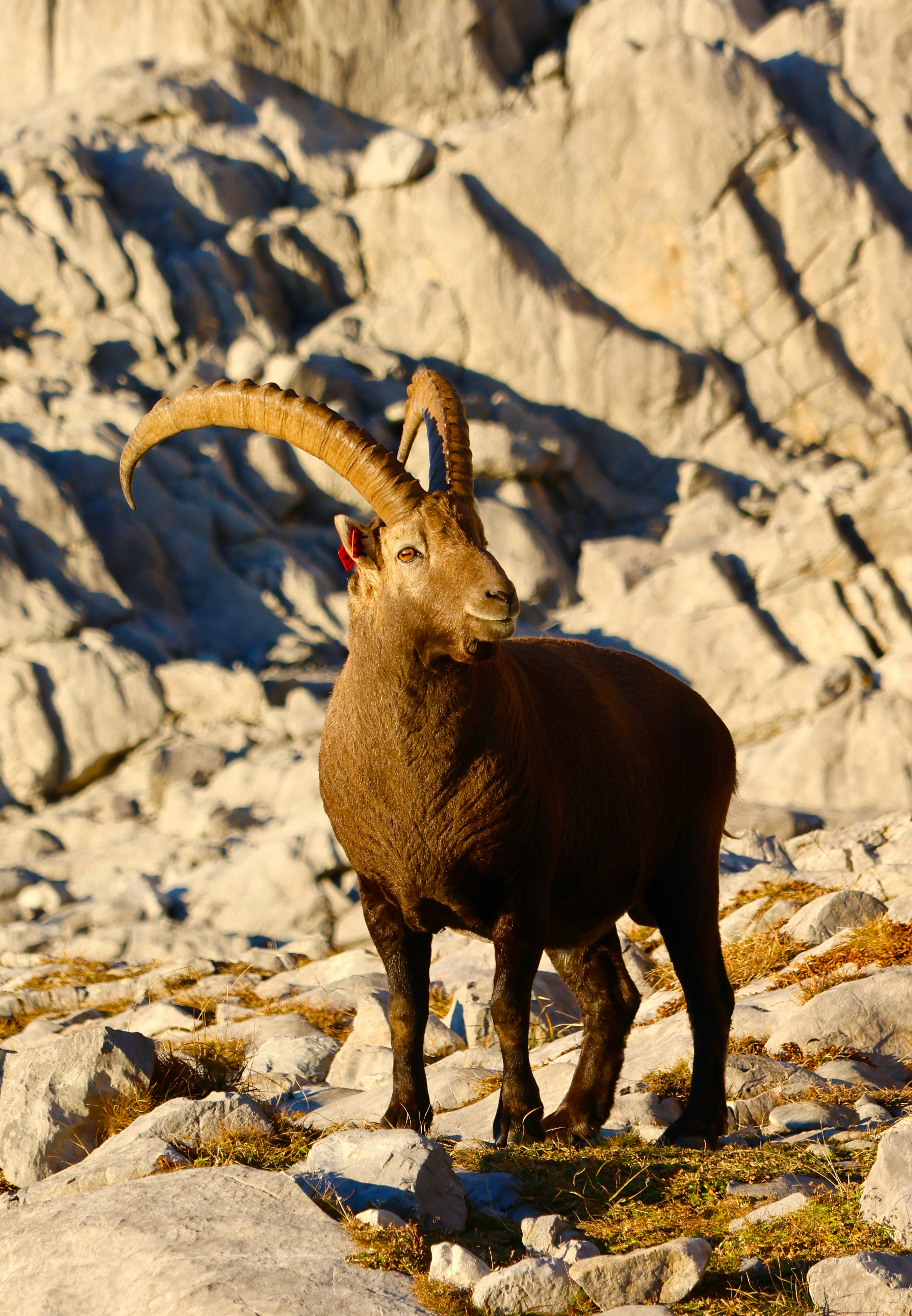 Photo by Damien Reviron with Canon EOS R7