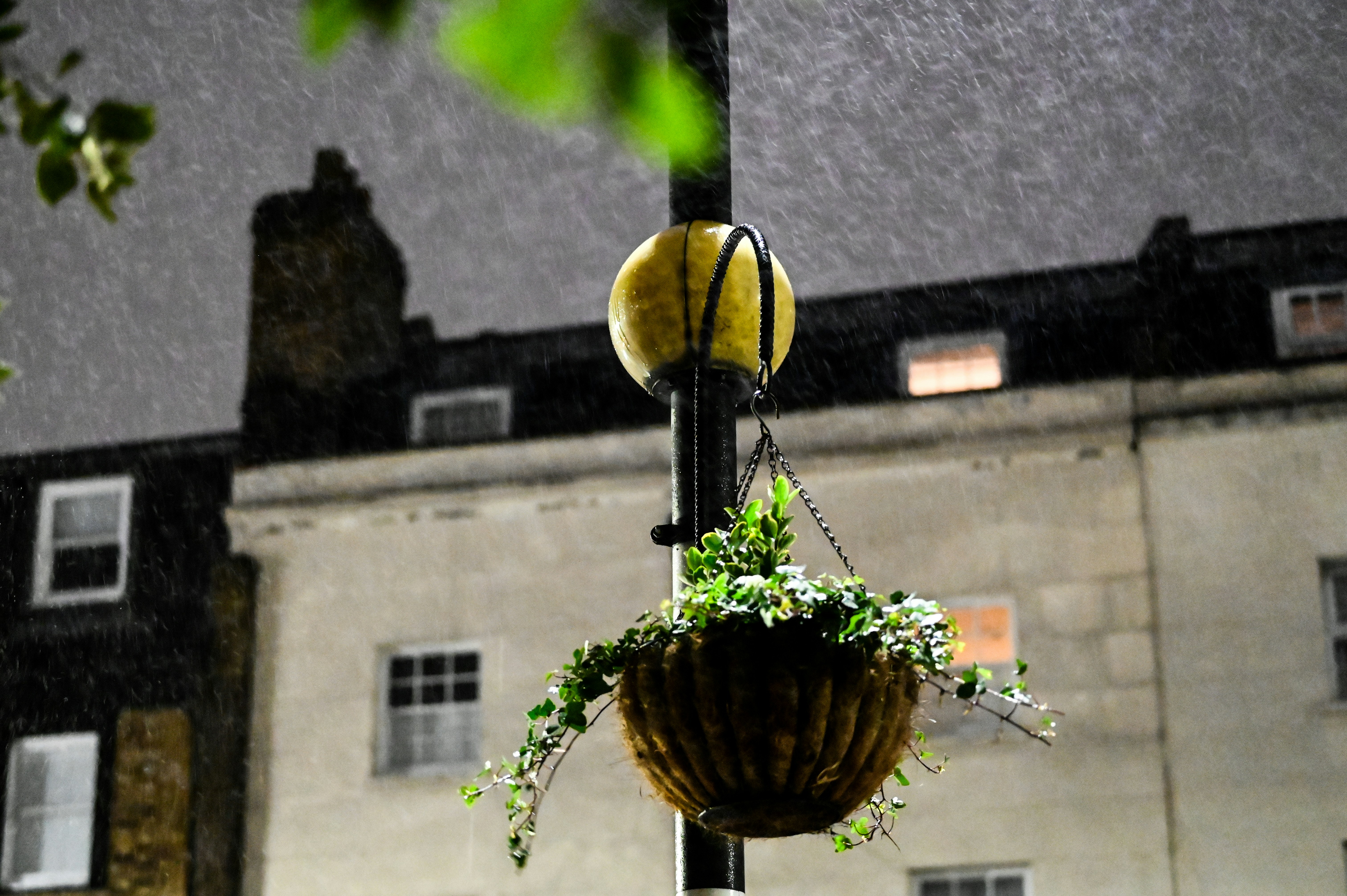 Kiss the Rain ☔️