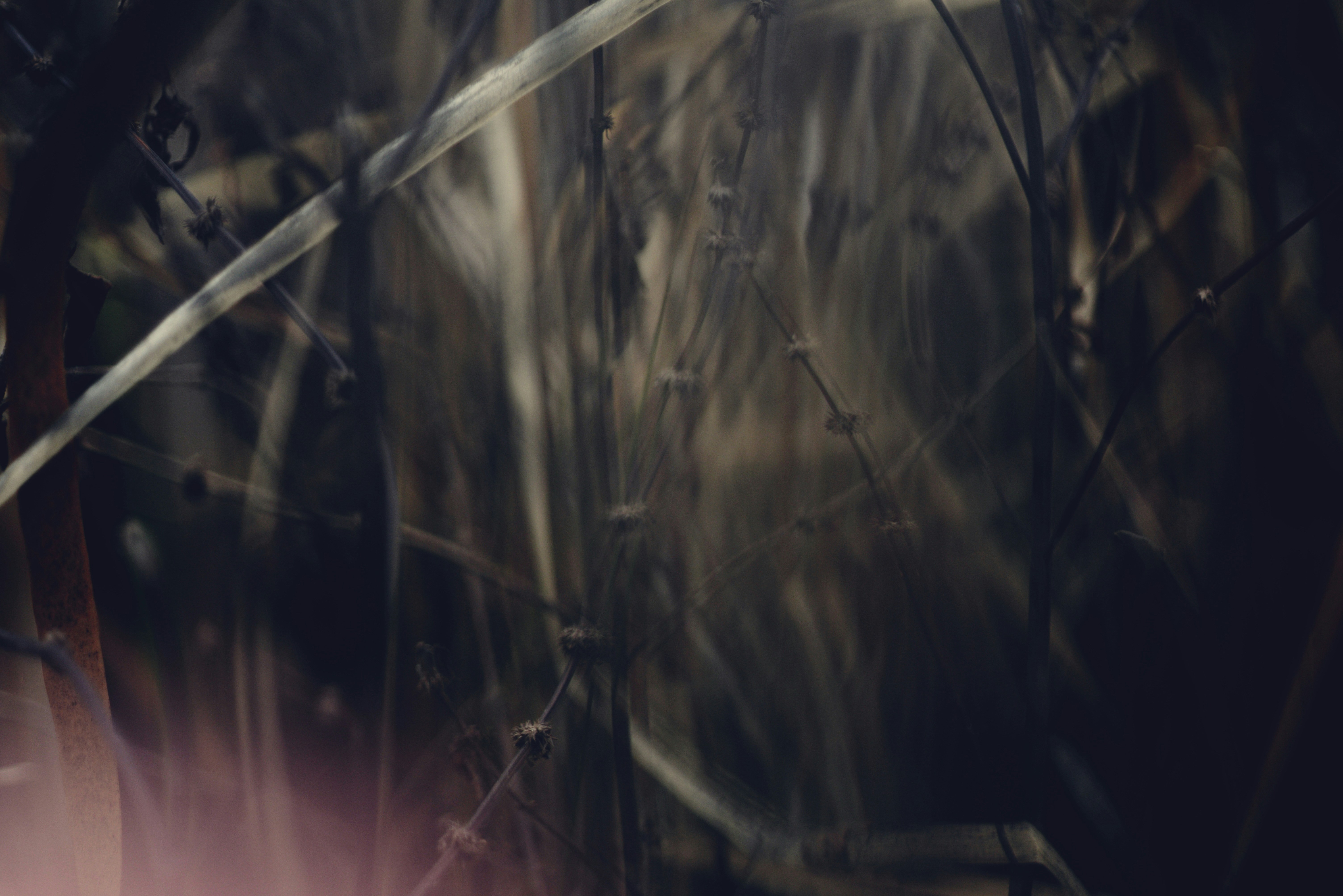 Photo by Liana S with Nikon D600