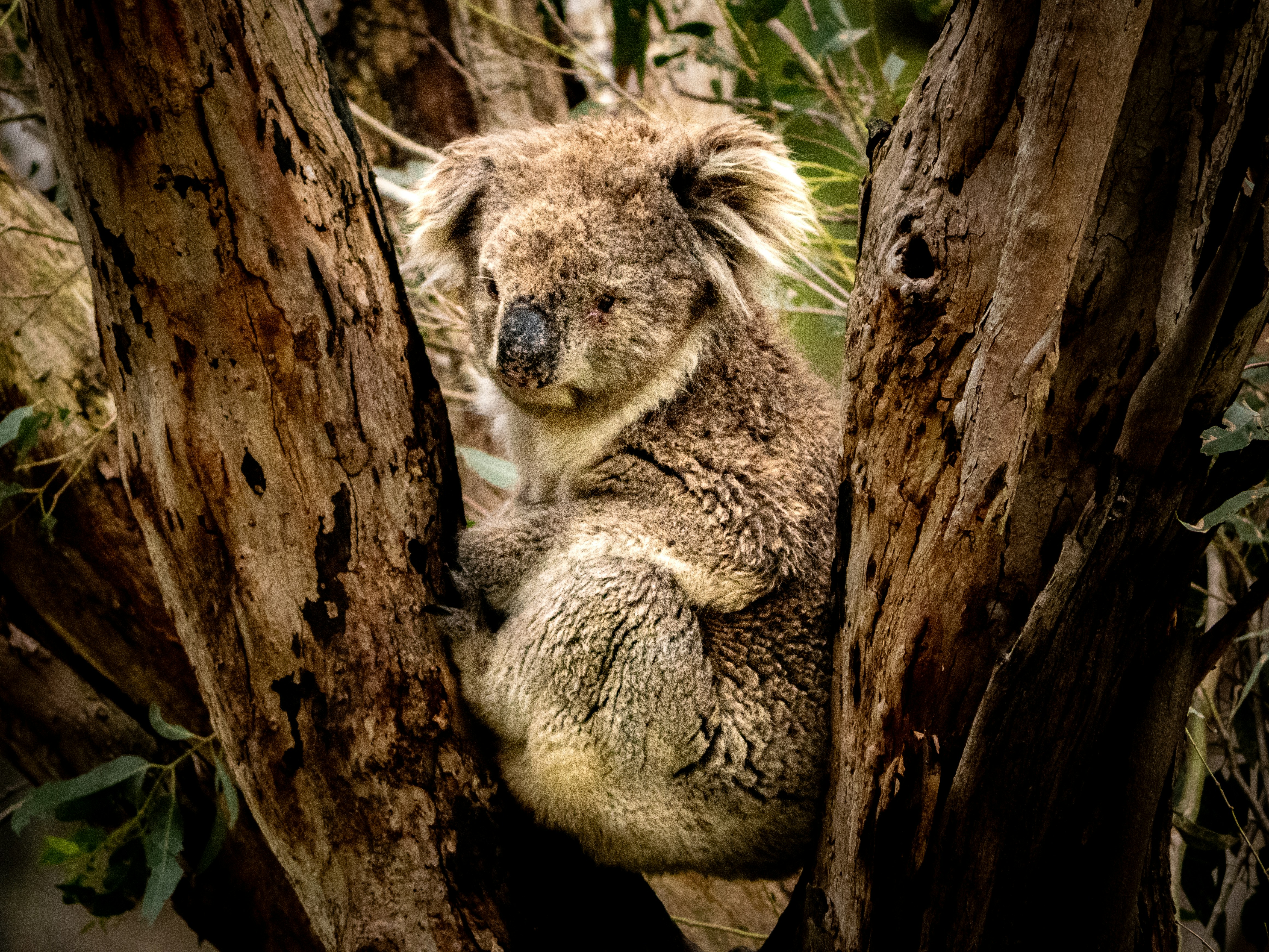 Sample photo from Panasonic DC-G90