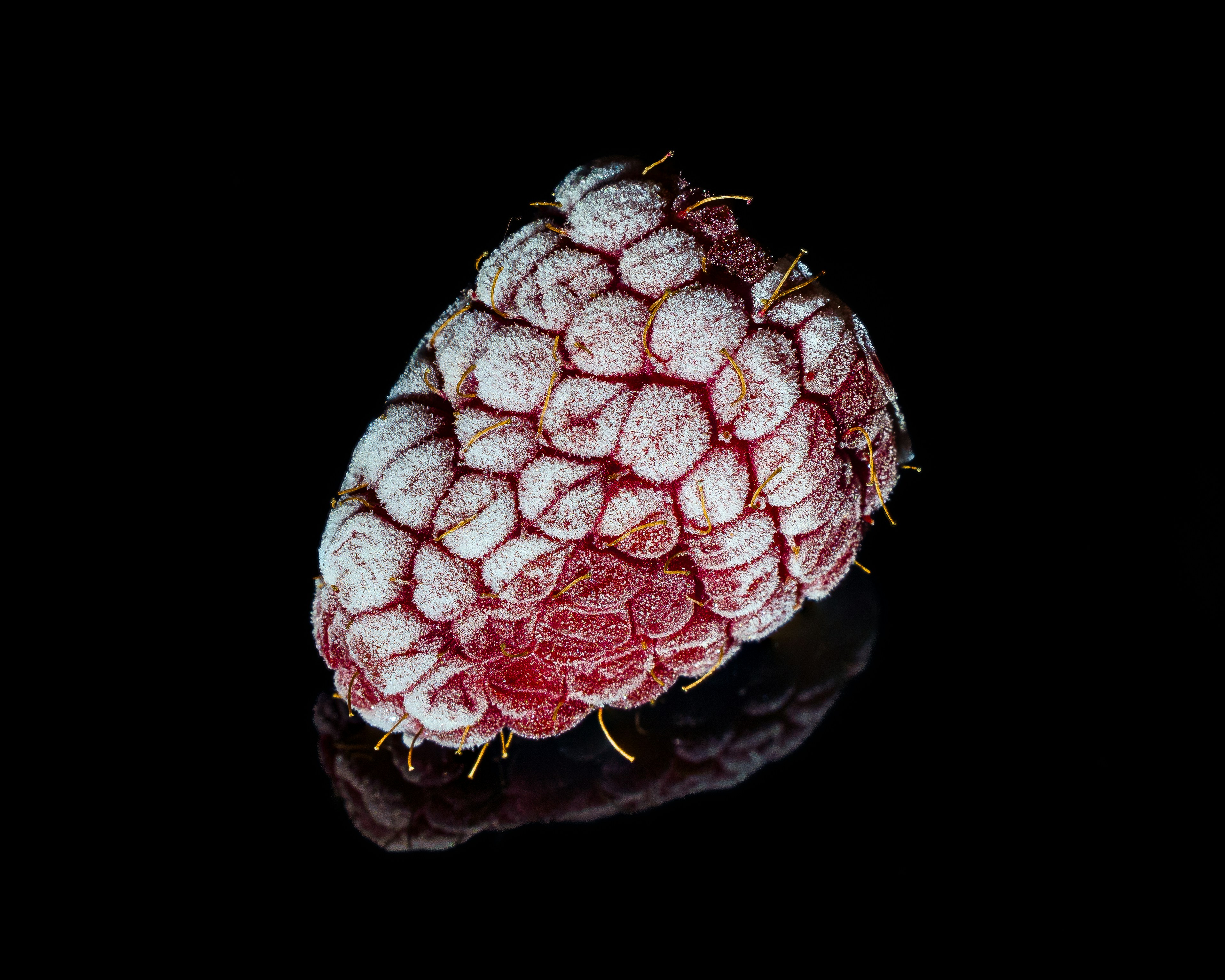 Close-up macro shot of a frozen raspberry on a black background, showing detailed texture and frost crystals