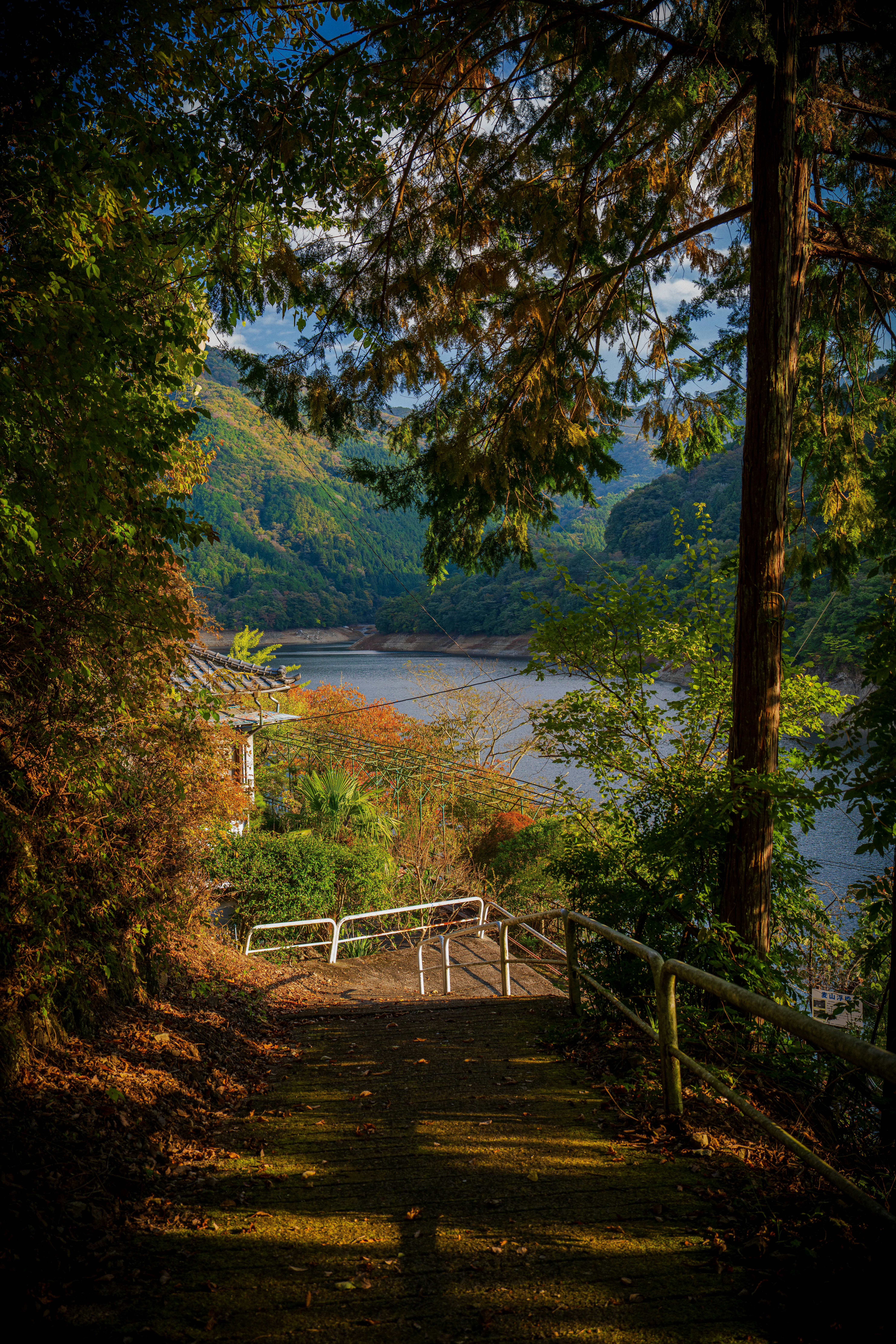Autumn Staircase to the Lake Vista