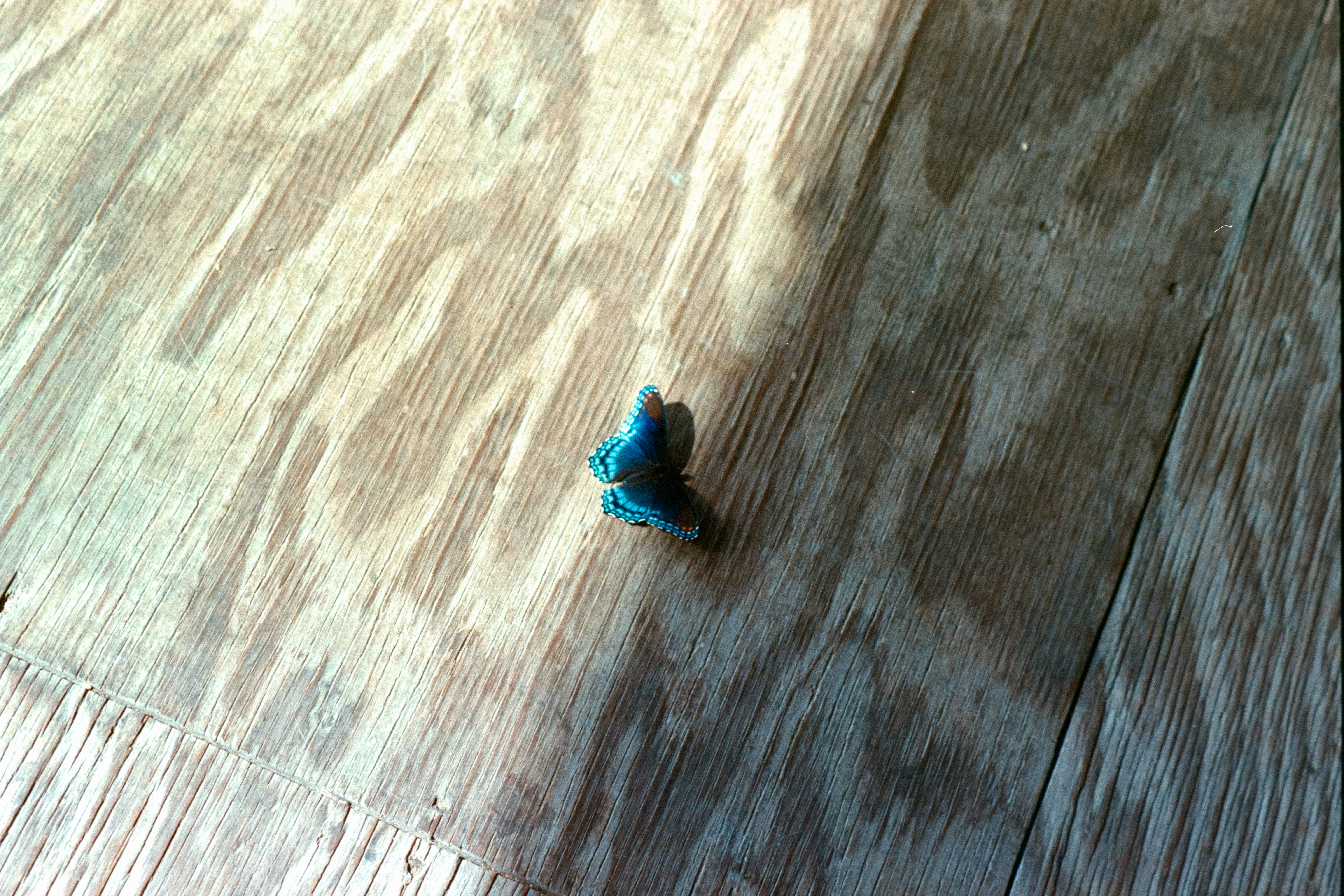 Photo by Erik Morales with Sony Alpha 1