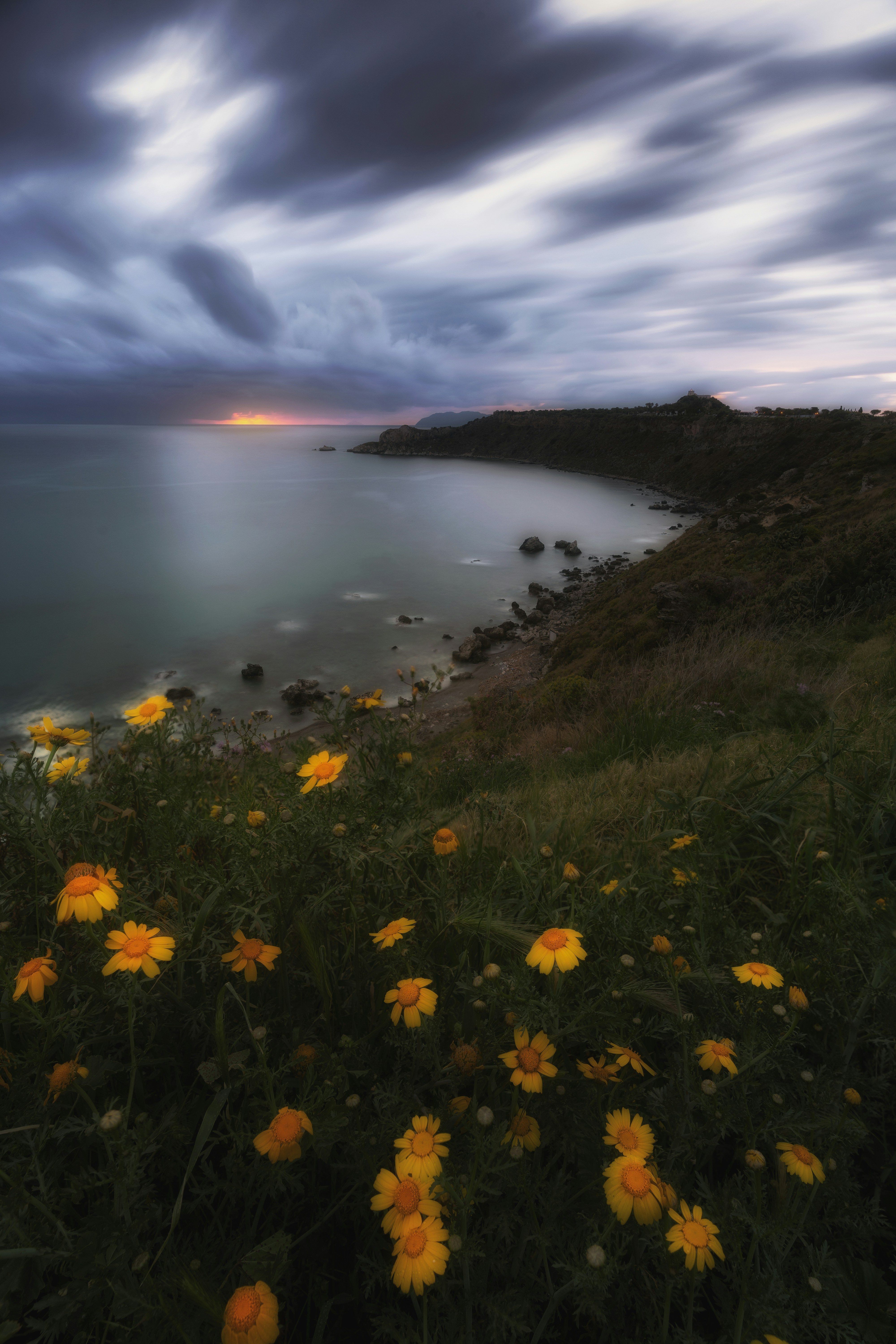 Sunlit Wildflowers at the Cliff Edge