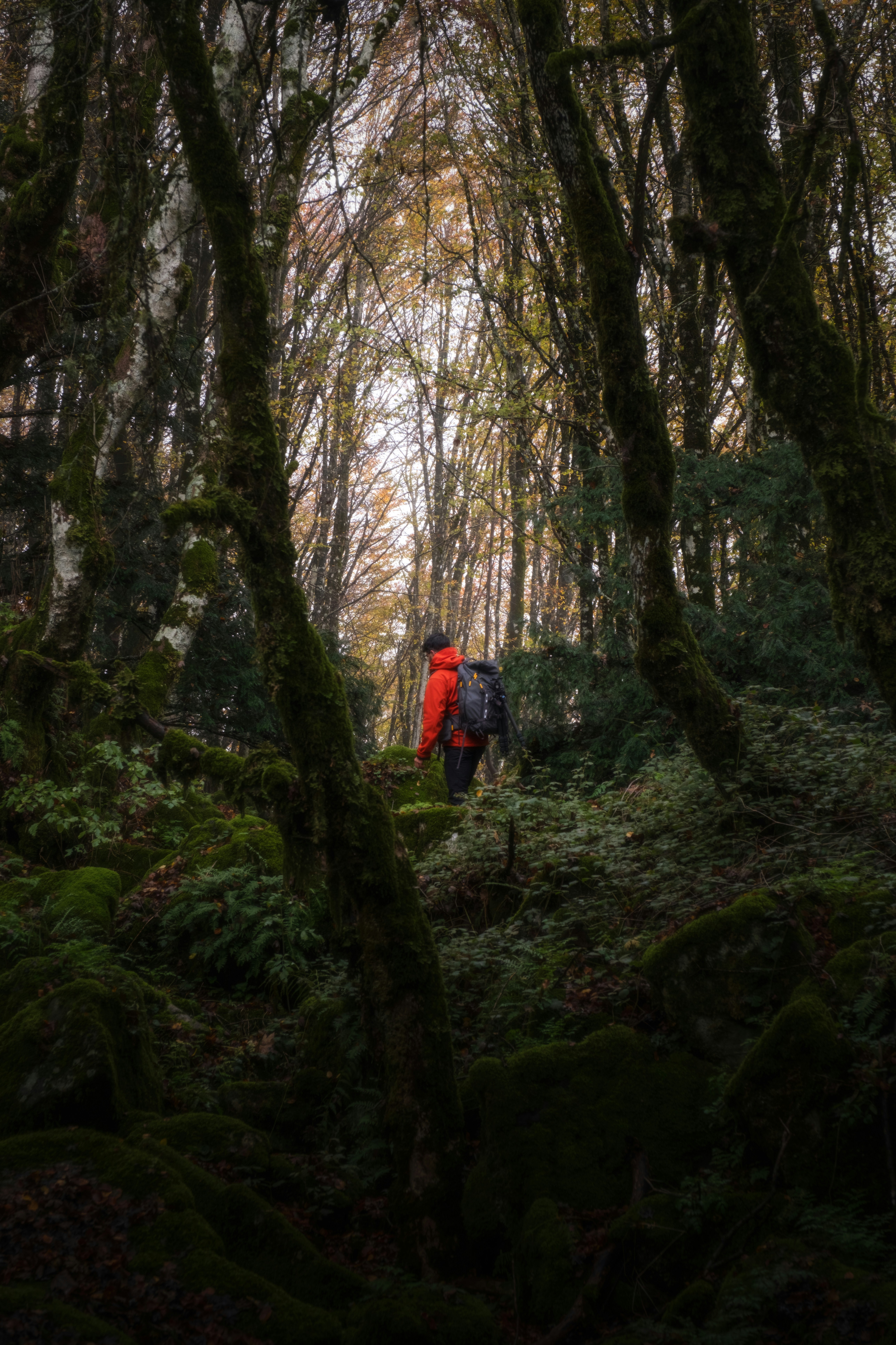 Photo by Marco Grosso with Fujifilm X-T5