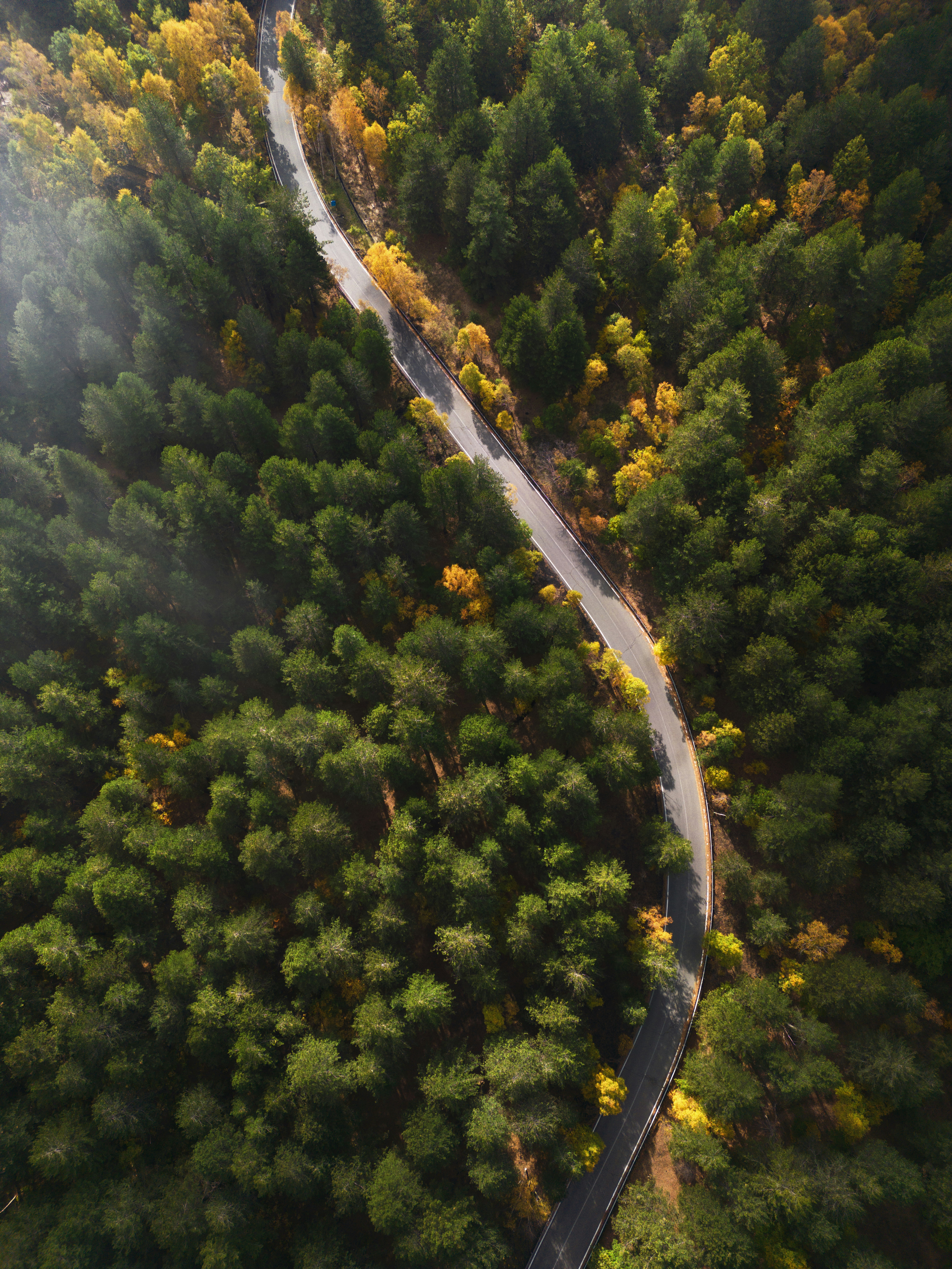 Photo by Marco Grosso with DJI Mini 3 Pro