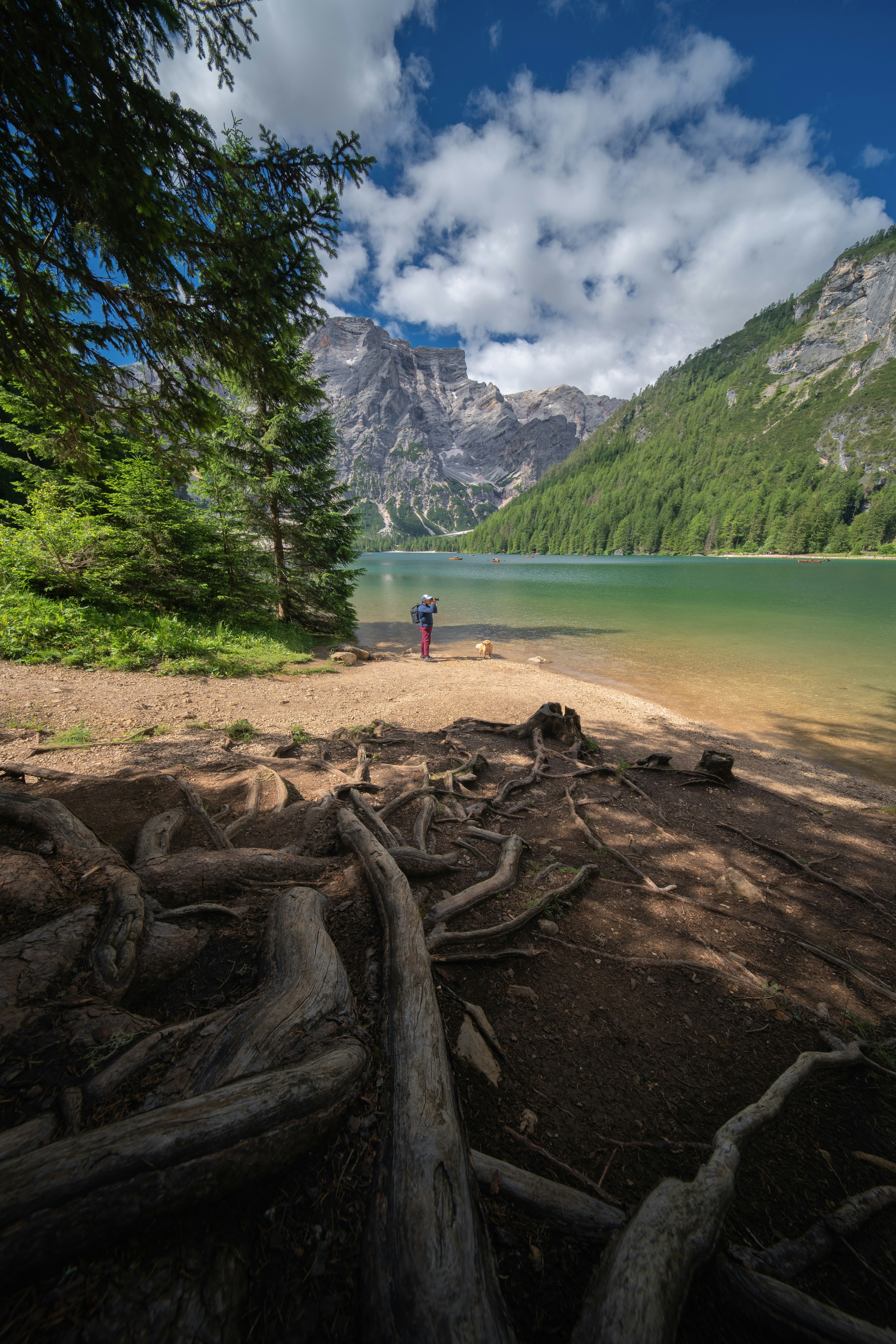 Hiker by Emerald Lake framed by rugged canyon and fallen roots