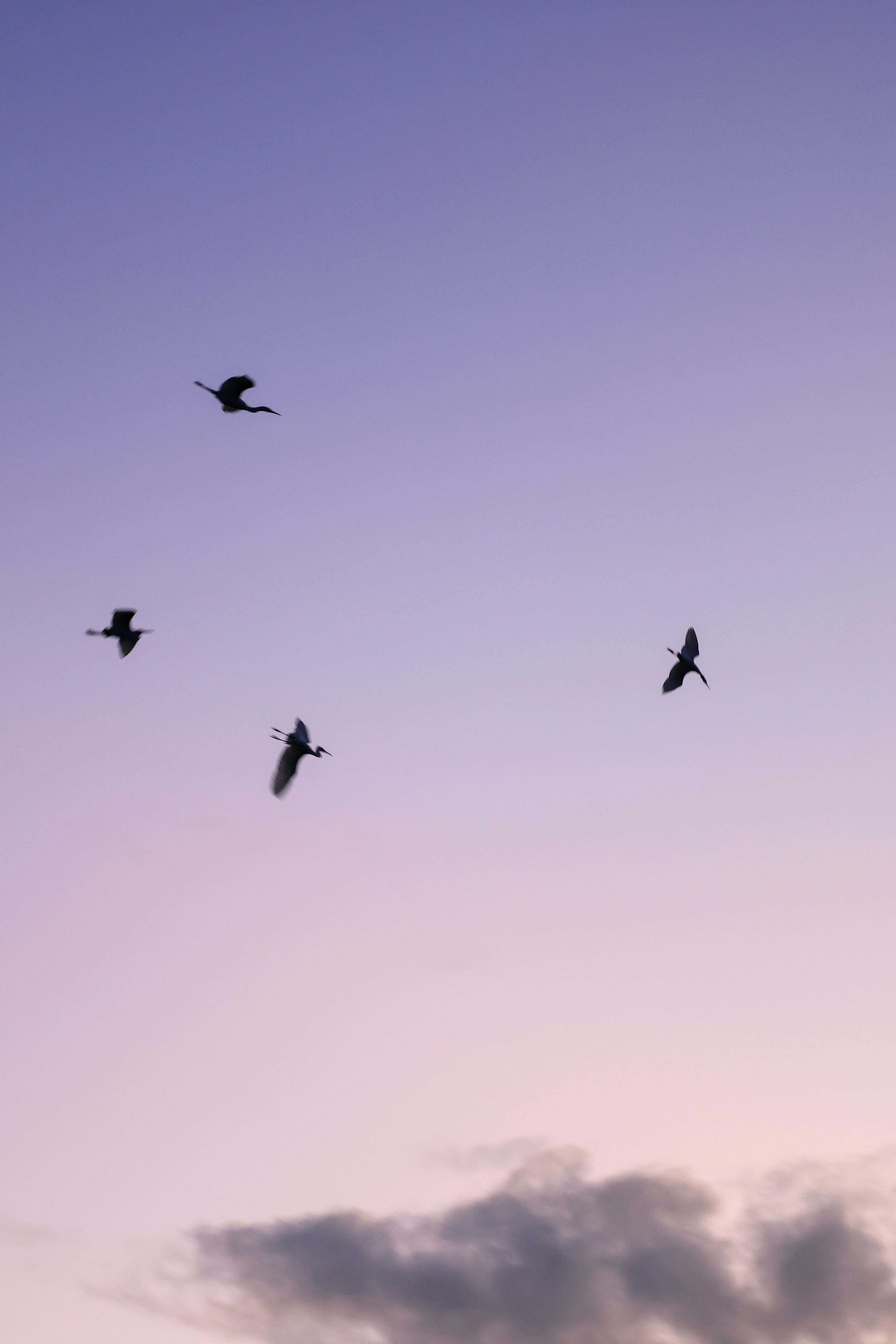 Photo by DL314 Lin with Canon EOS R5