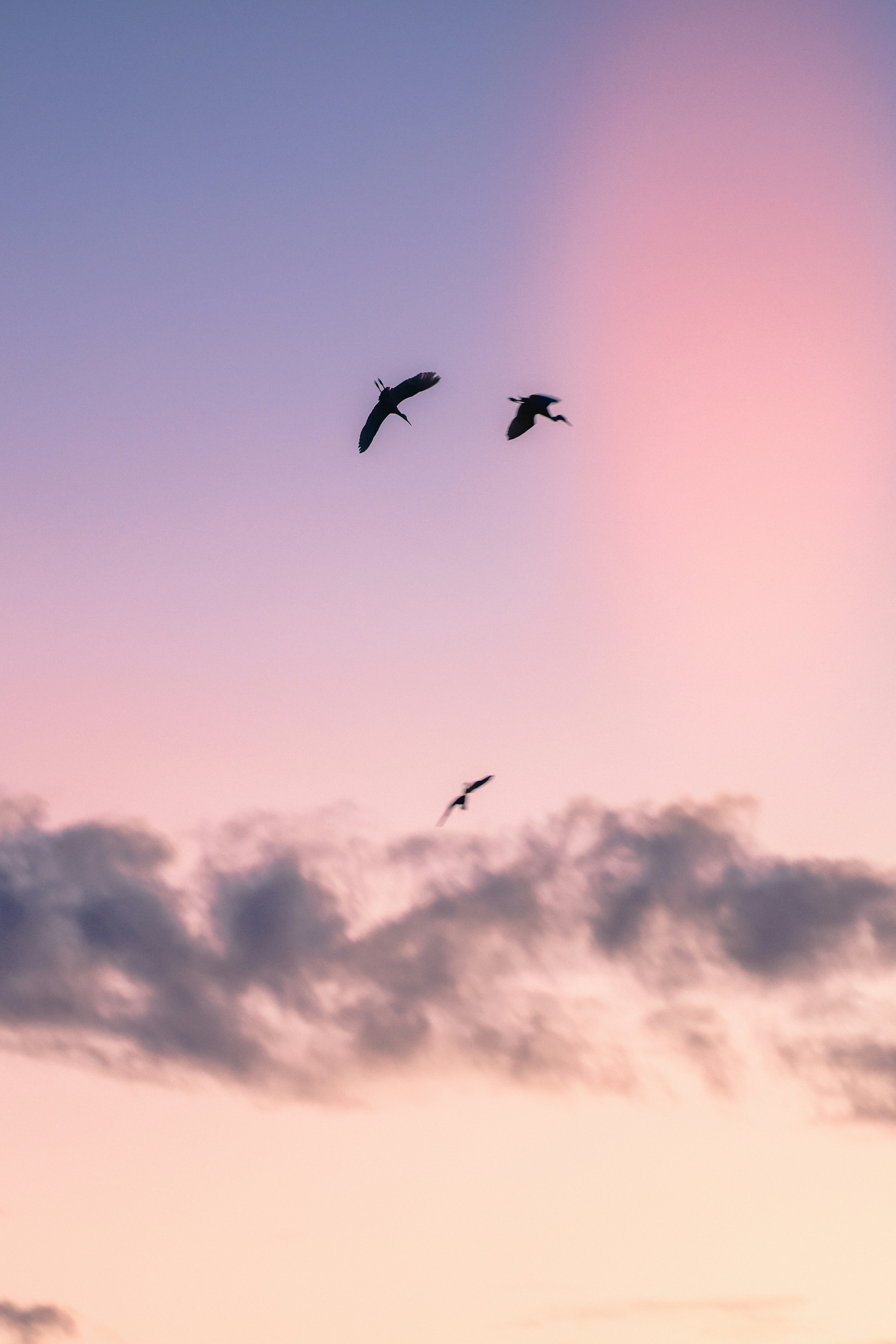 Photo by DL314 Lin with Canon EOS R5