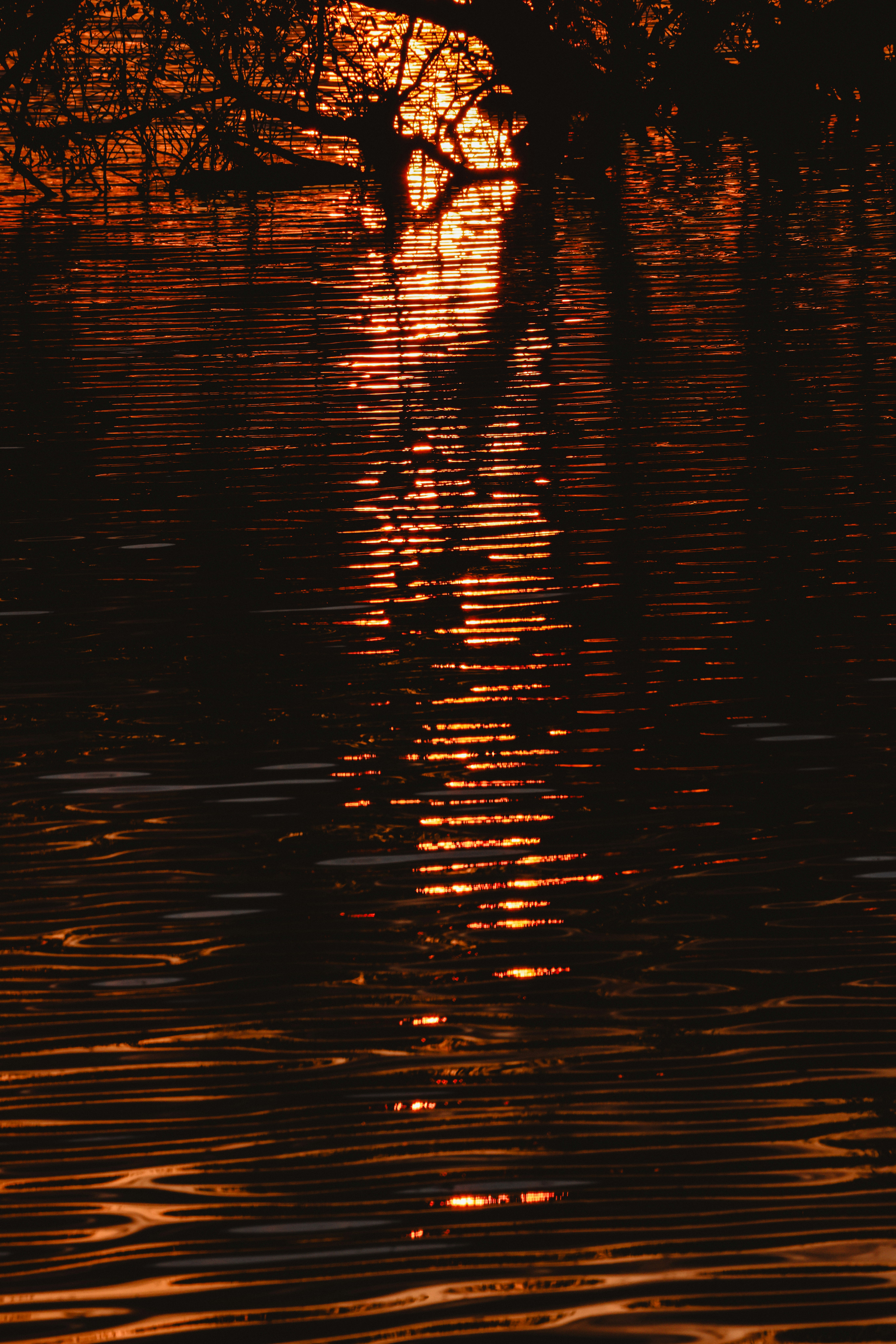 Crimson Dusk on Quiet Reflections